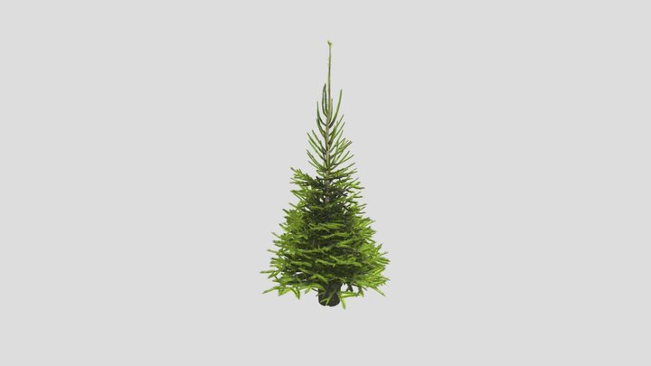 Christmas-tree 3D models - Sketchfab