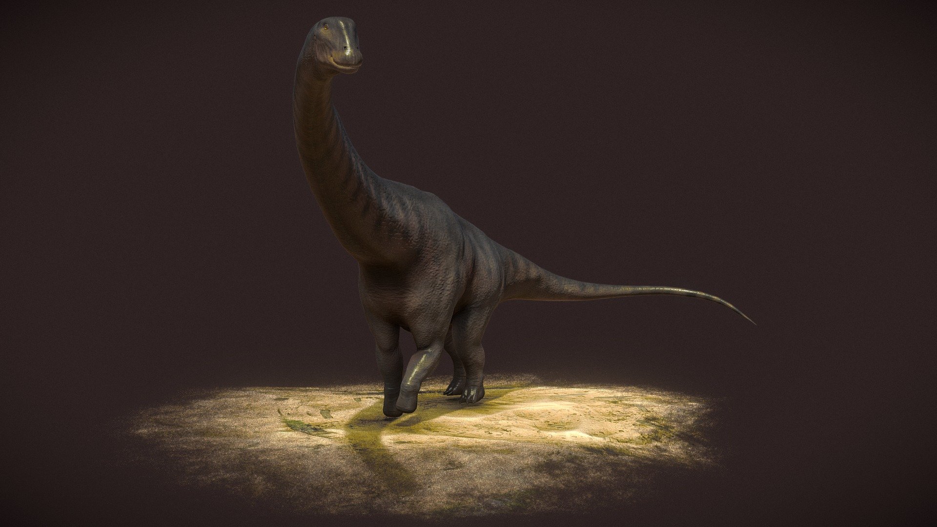 Dreadnoughtus - 3D model by Yelcom (@yelcomaromsa) [0e5cc36] - Sketchfab