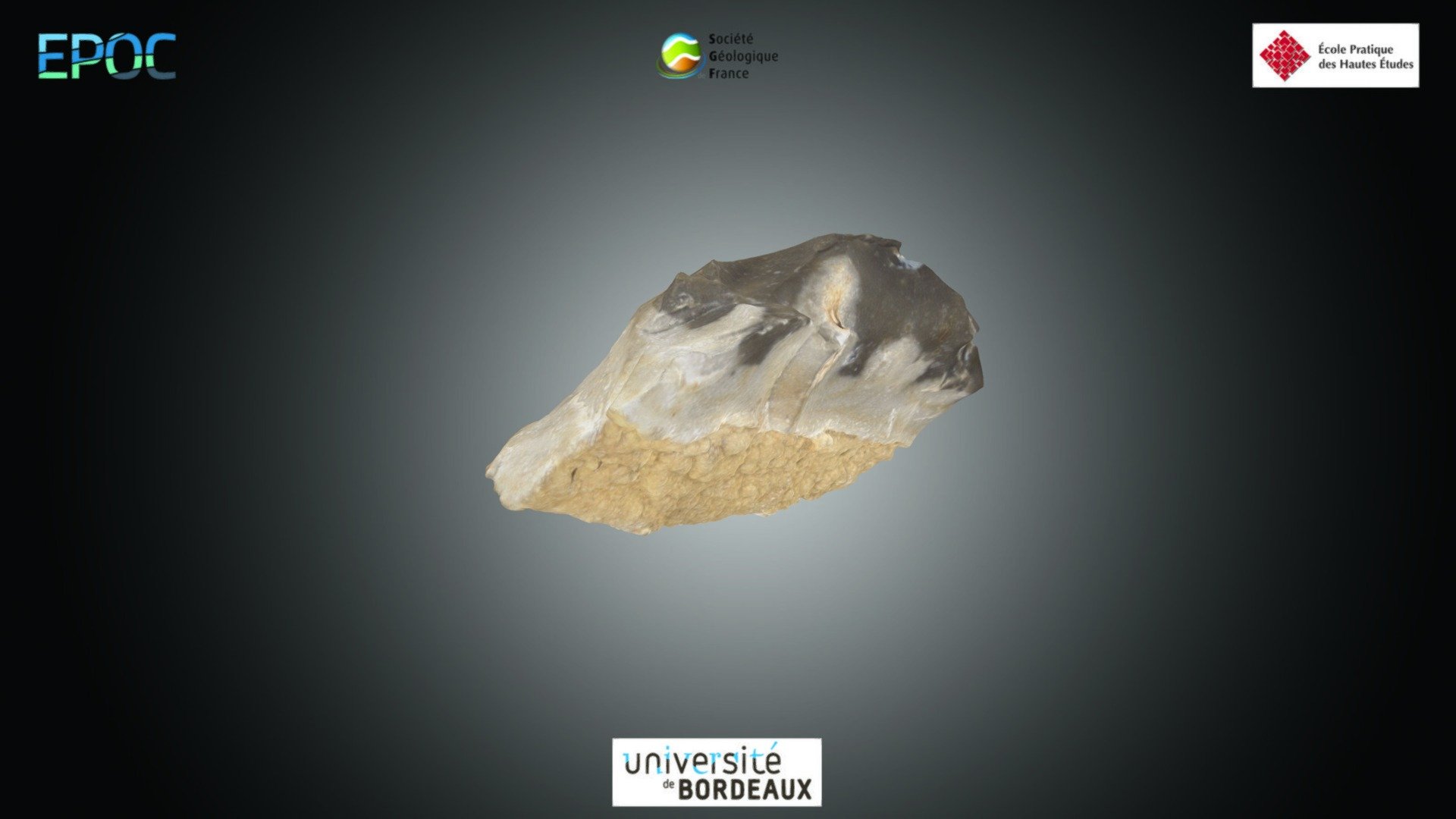 Roche - Silex et gangue - Download Free 3D model by Société Géologique ...