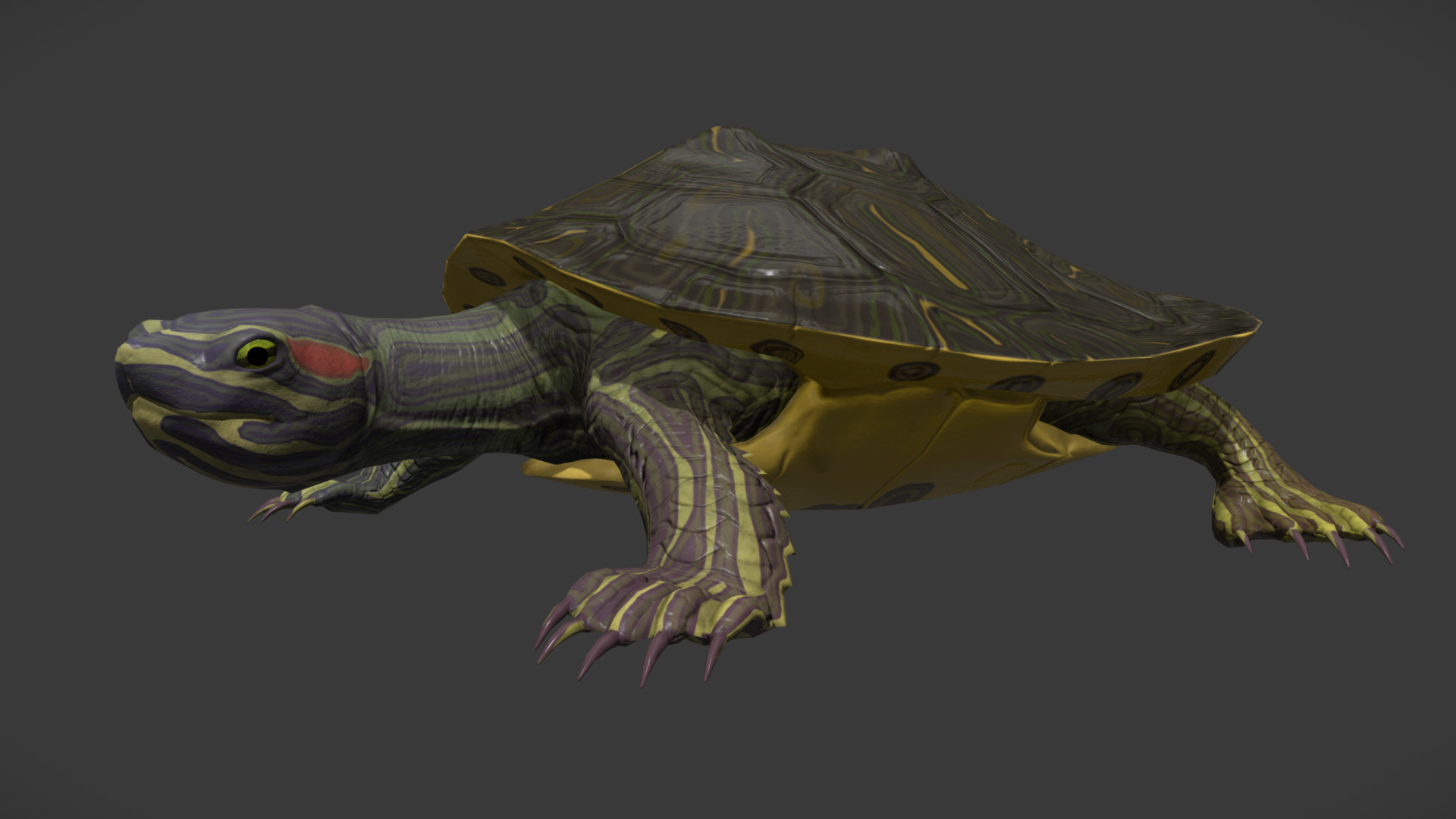 Turtle - 3D model by Mykaël Boyte-Coutu (@bloodartist) [0e650ff ...