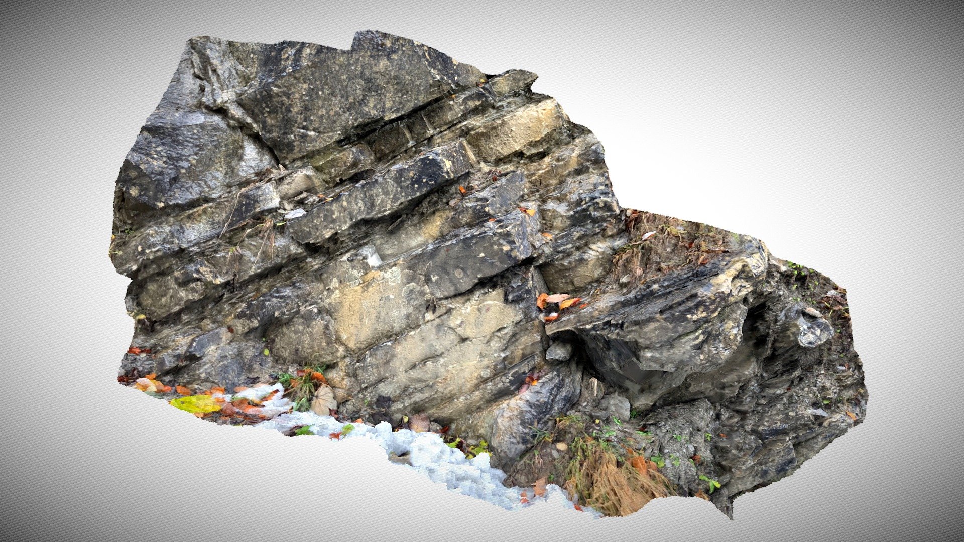 Lower Marine Molasse, Switzerland - Download Free 3D model by Sara ...