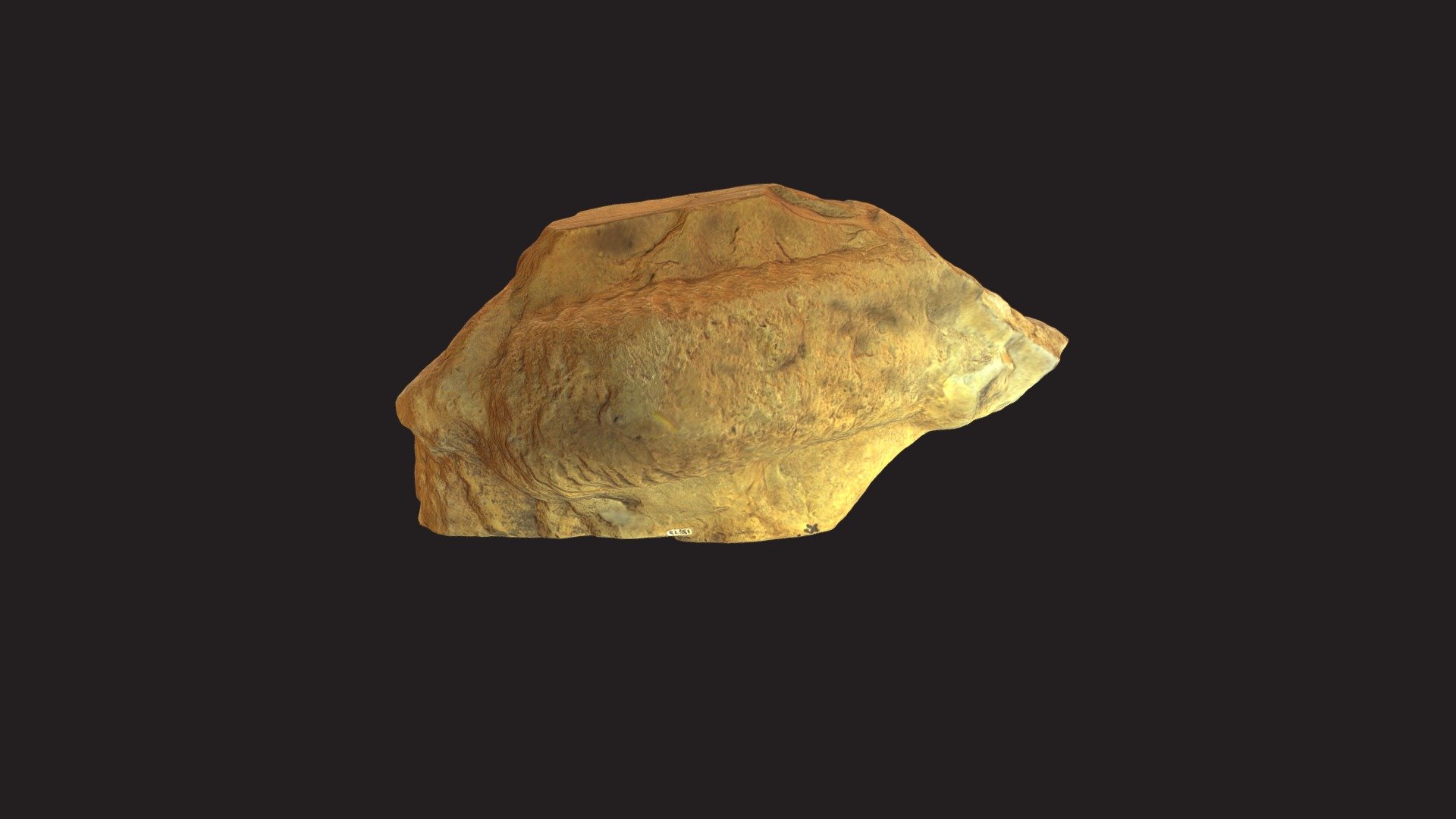 CMNH 13573, Rusophycus - 3D model by Cleveland Museum of Natural ...