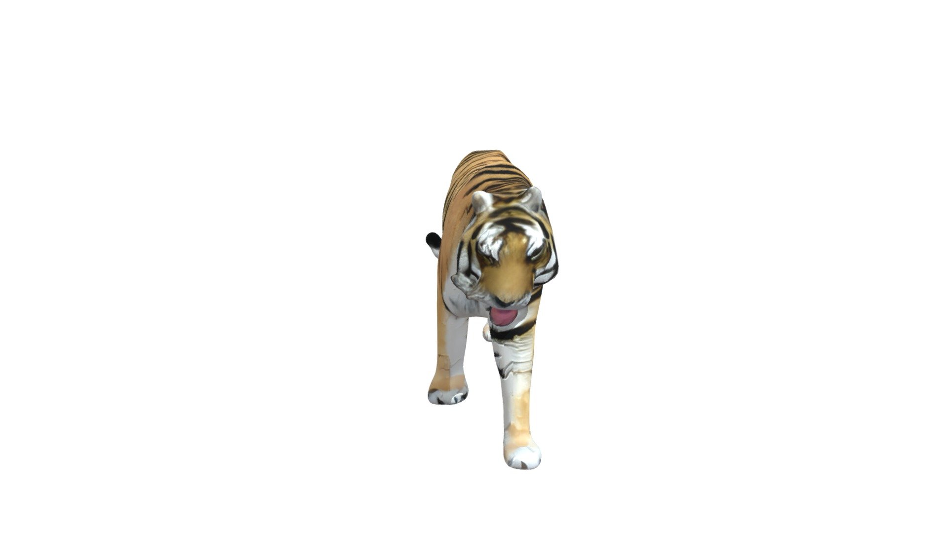 Tiger in walking stance - Download Free 3D model by faisalarefinabid ...