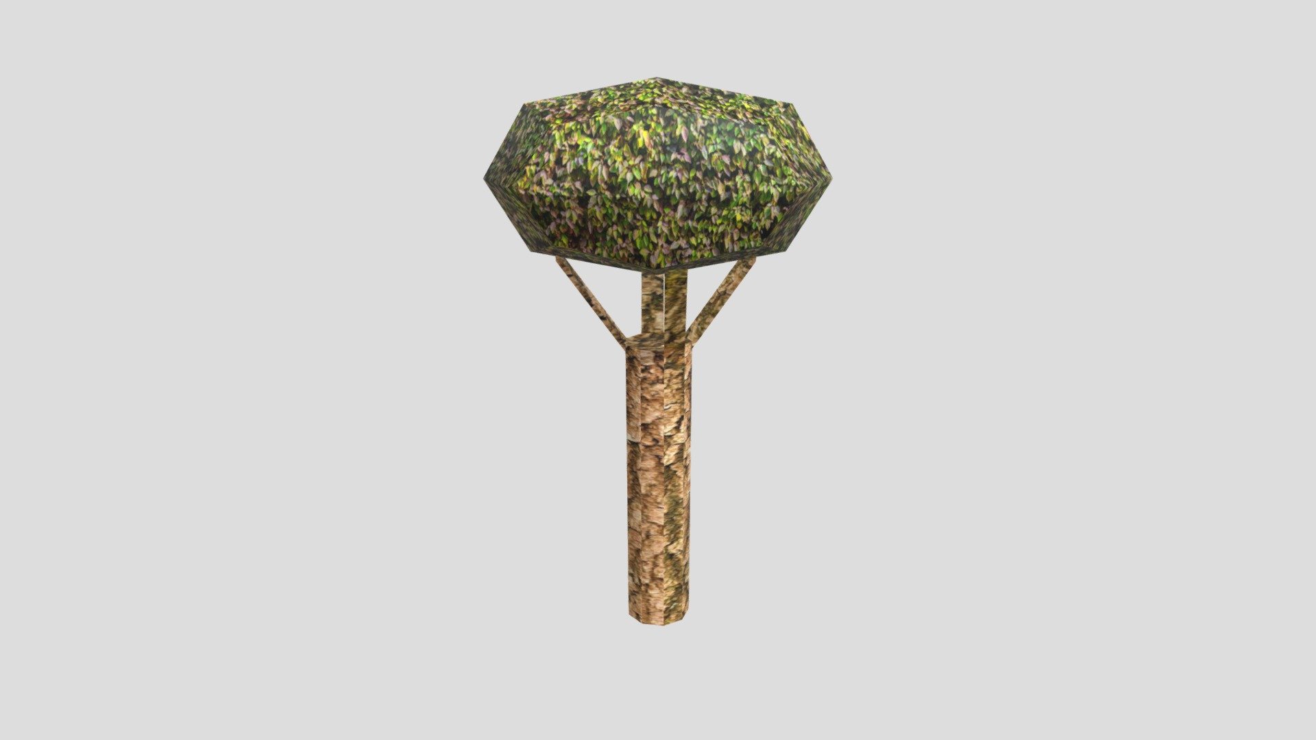 tree texture_sRGB_scene-linear Rec_709-sRGB_jpg - 3D model by ...