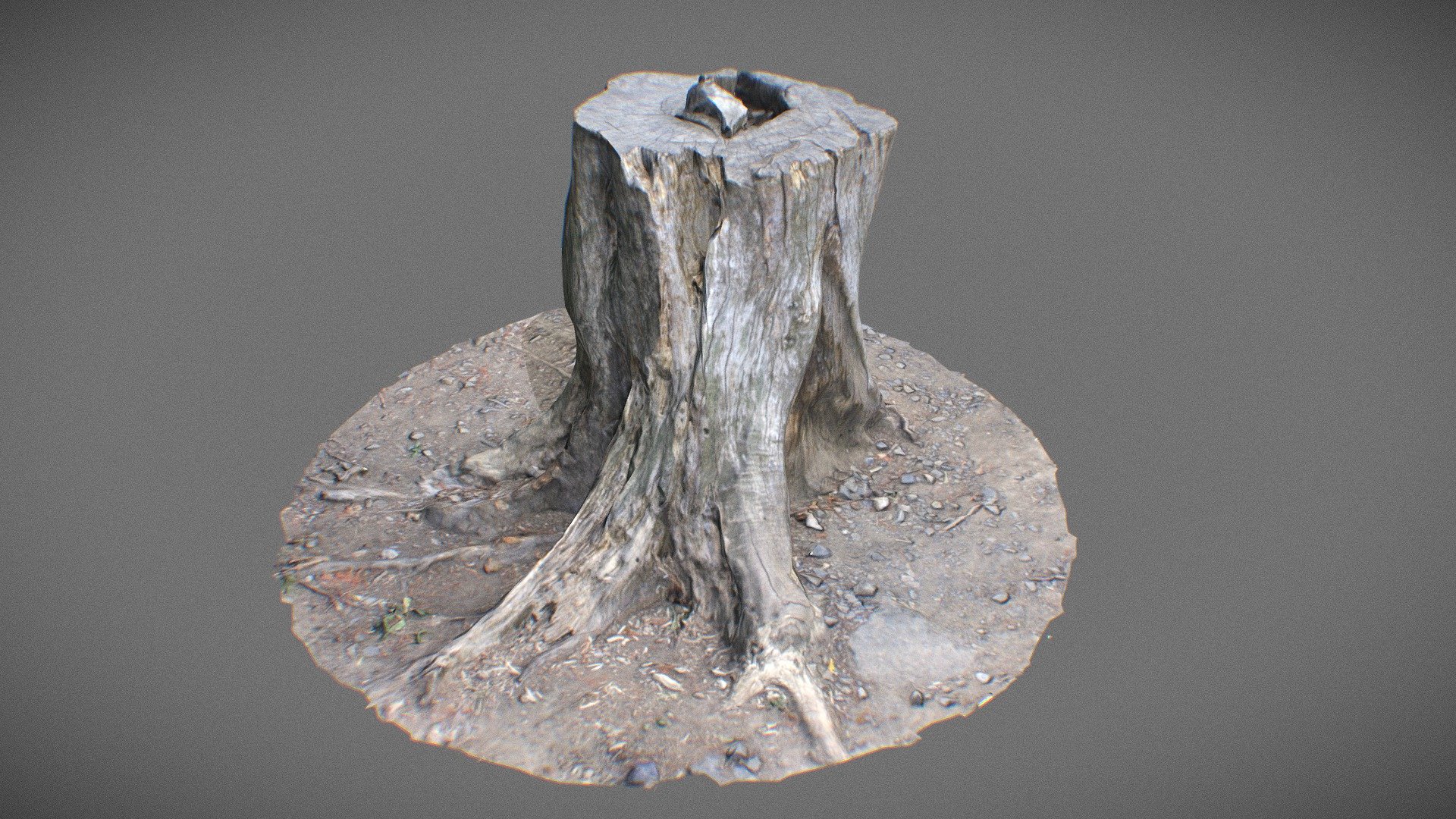 stump - Download Free 3D model by ryuta-rd [0e7ab90] - Sketchfab