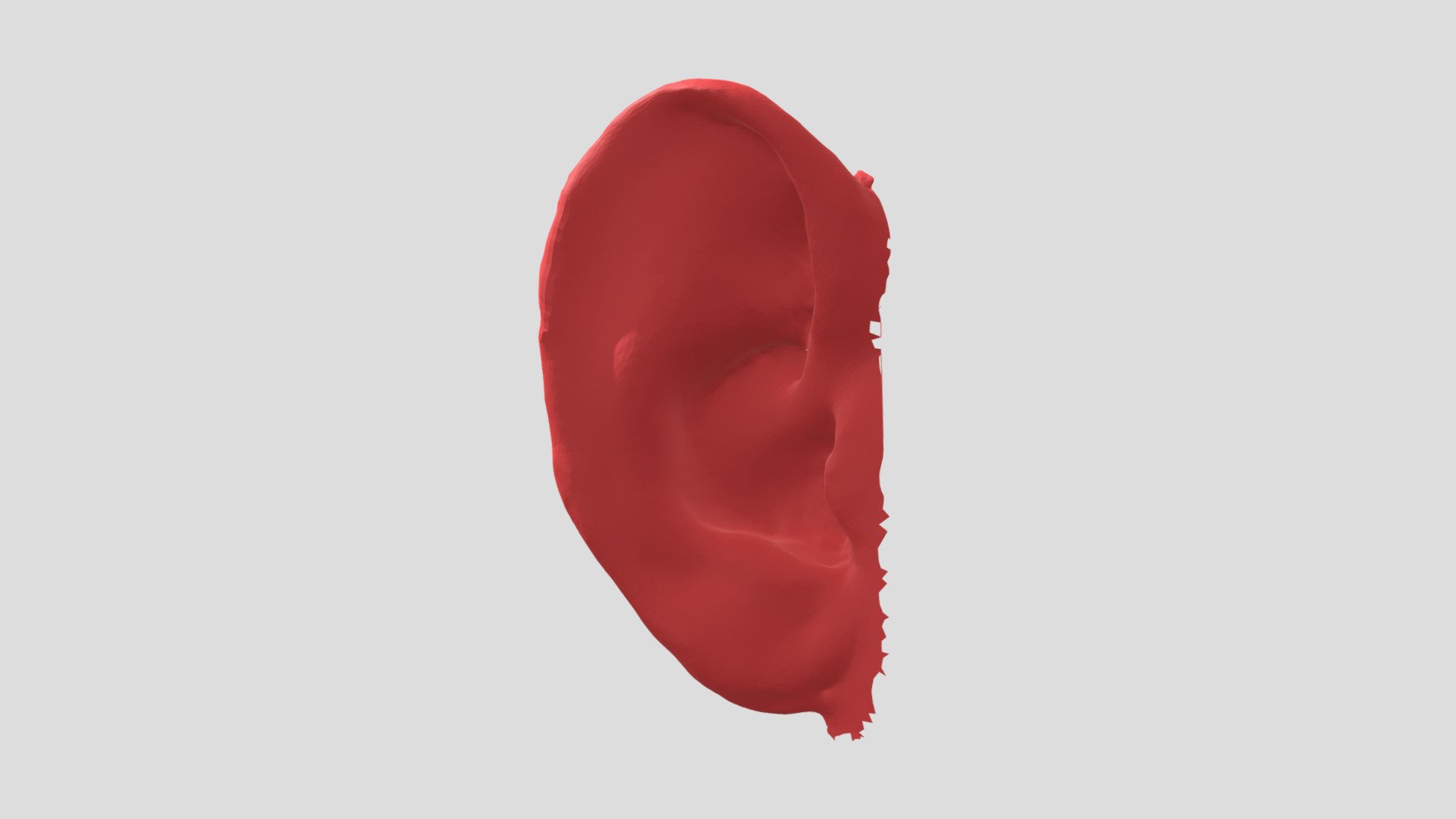 Ohr_test - Download Free 3D model by megamuffel [0e7e775] - Sketchfab