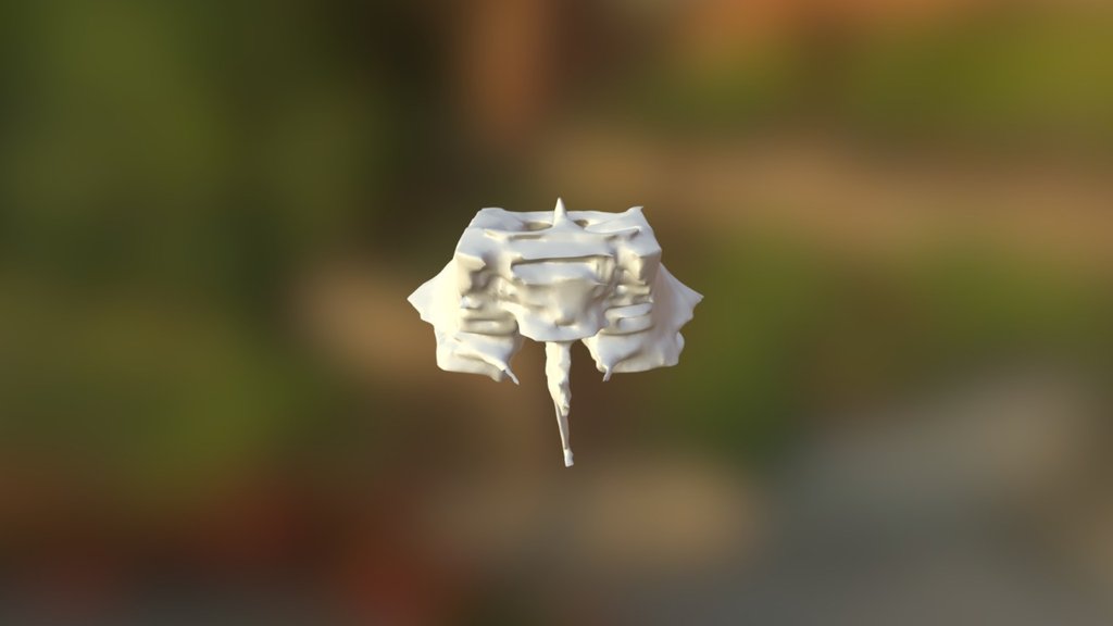 Ethmoid Bone - 3D model by brentonsio [0e84693] - Sketchfab