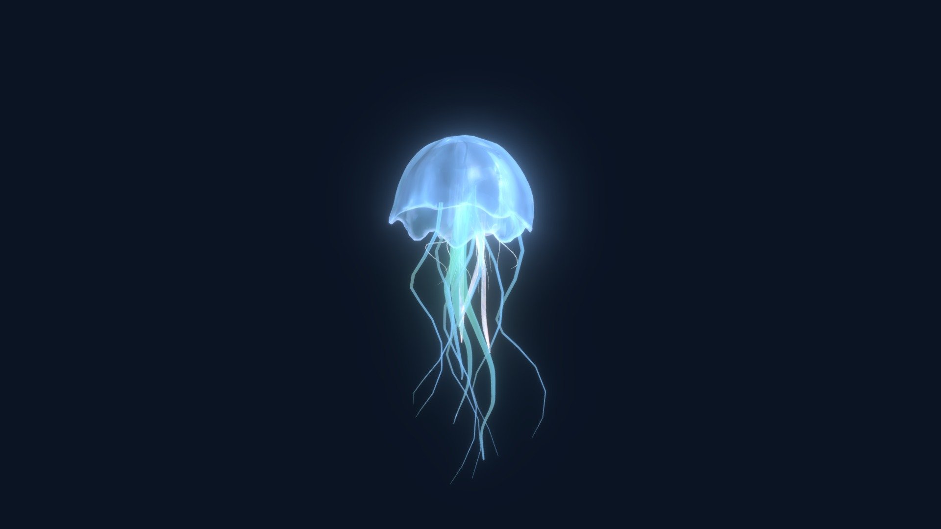 alle_kwallen - 3D model by chuanxin1229 [0e866ab] - Sketchfab