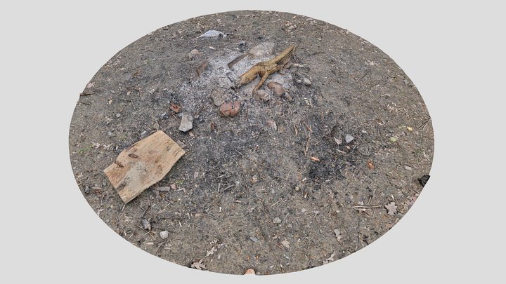 Bonfire 3D models - Sketchfab