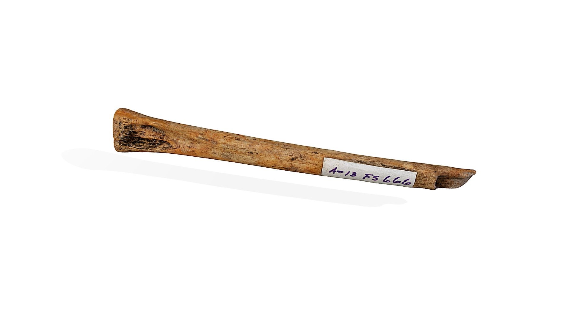 Bone Pin Artifact - 3D model by University of South Florida Libraries ...