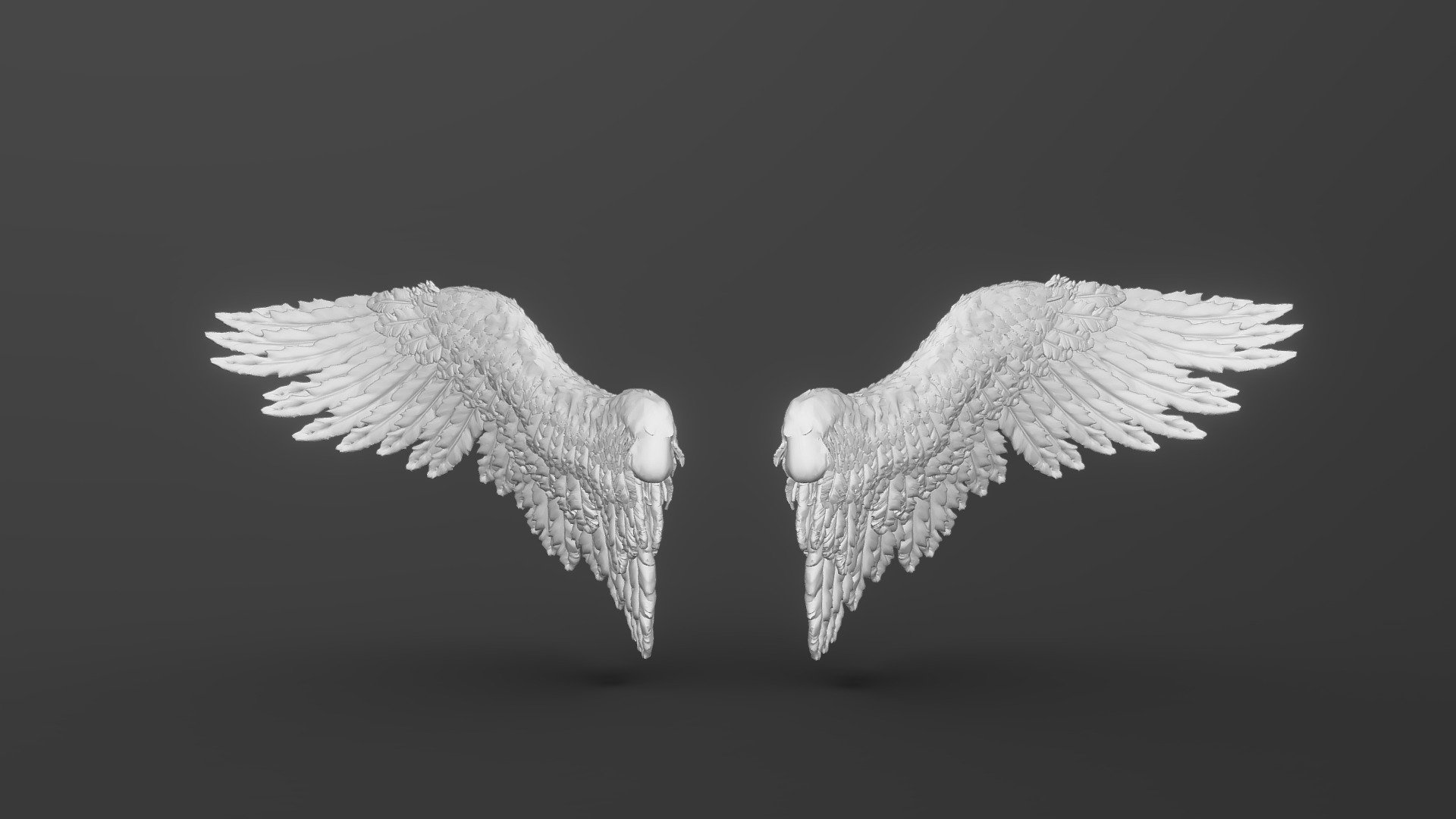 Wings In Motion - 3D model by Alexandria Maharaj (@Thedovahtamer) [0e91b78] - Sketchfab
