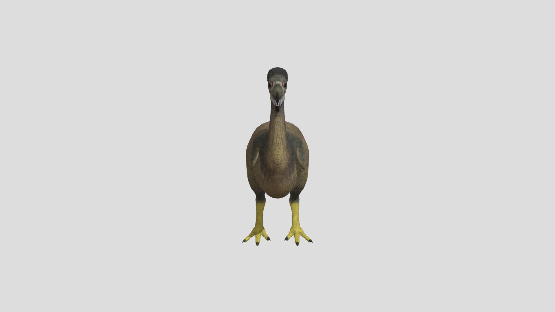Dinoraul's Dodo - Download Free 3D model by Sammy the Citipati ...