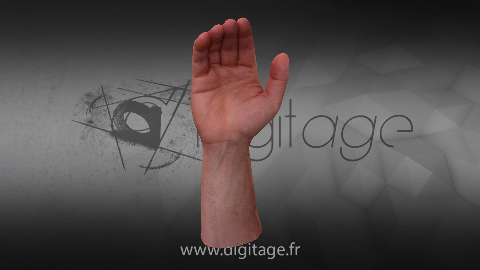 Hand 3D Scan - 3D model by Digitage [0e9e41f] - Sketchfab