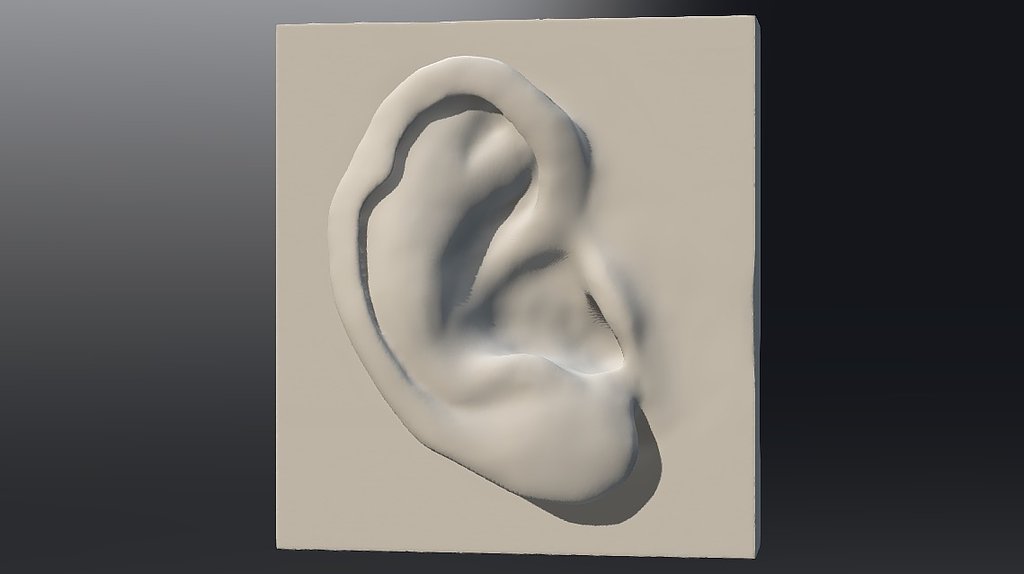 Ear Study - 3D model by graciliano3d [0ea6e35] - Sketchfab