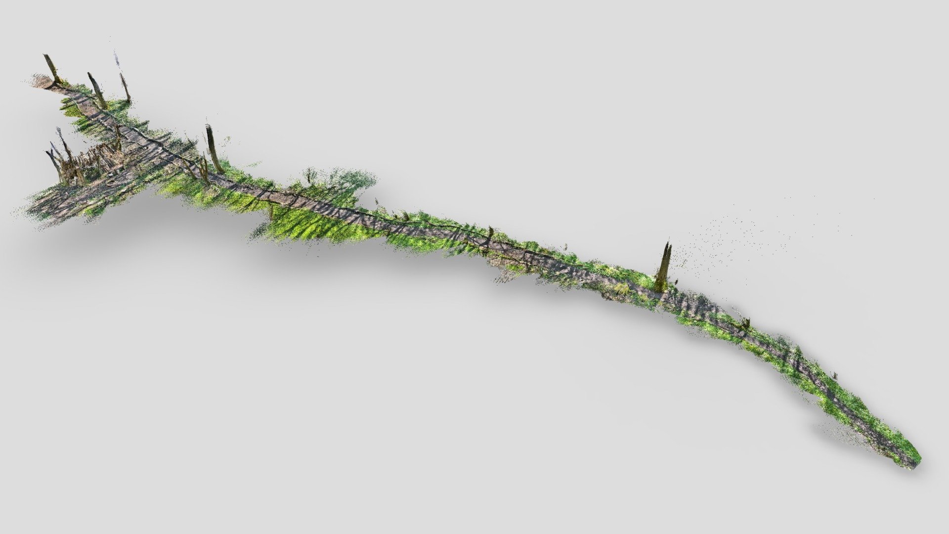 Self-made path through the forest - 3D model by Christian Carlsson ...
