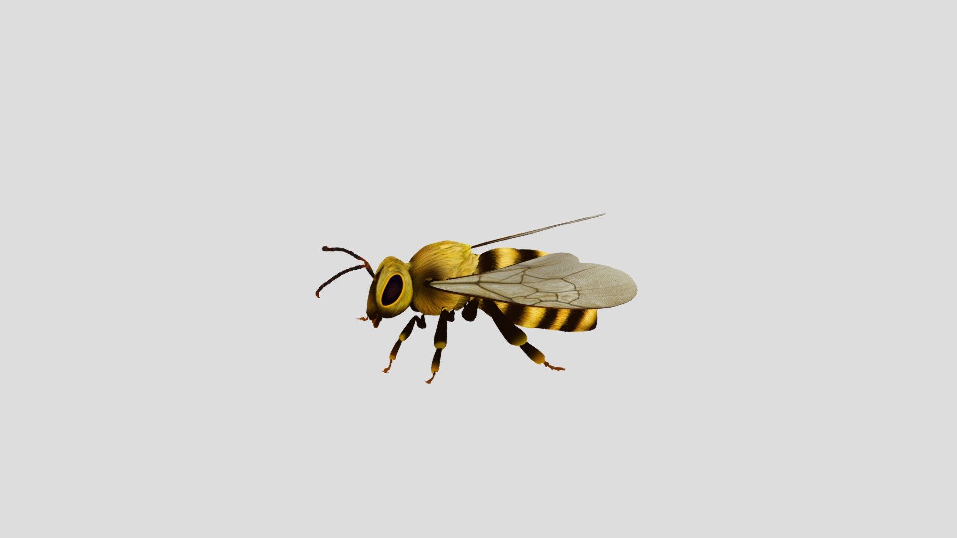 Bee (Lebah) - 3D model by musthofakamal82 [0eba2f4] - Sketchfab