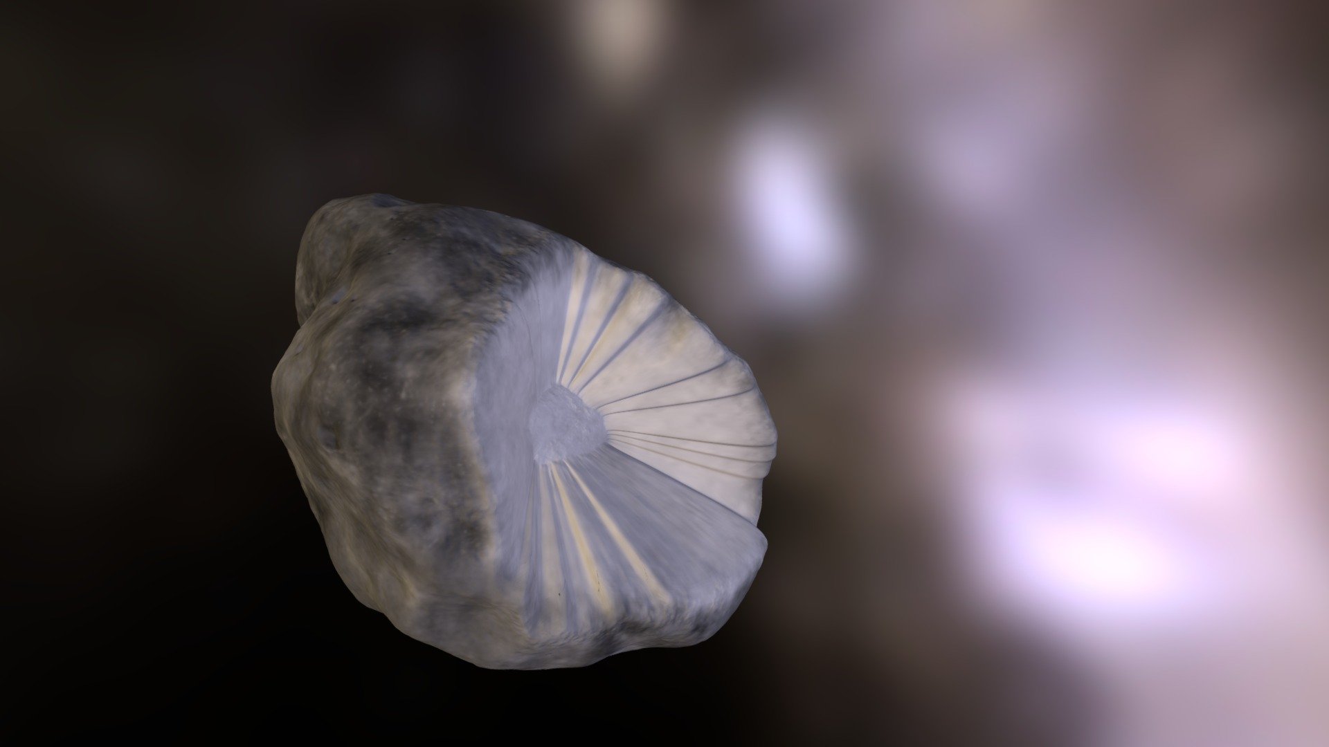 asteroid_cutout.zip - 3D model by bryanpearson [0ebd752] - Sketchfab