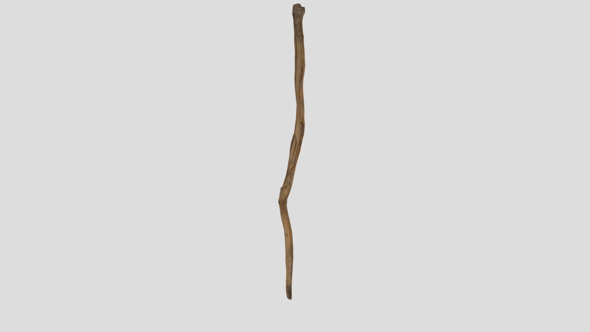Walking Stick 3D Scan - Download Free 3D model by makercommons [0ec1acd ...