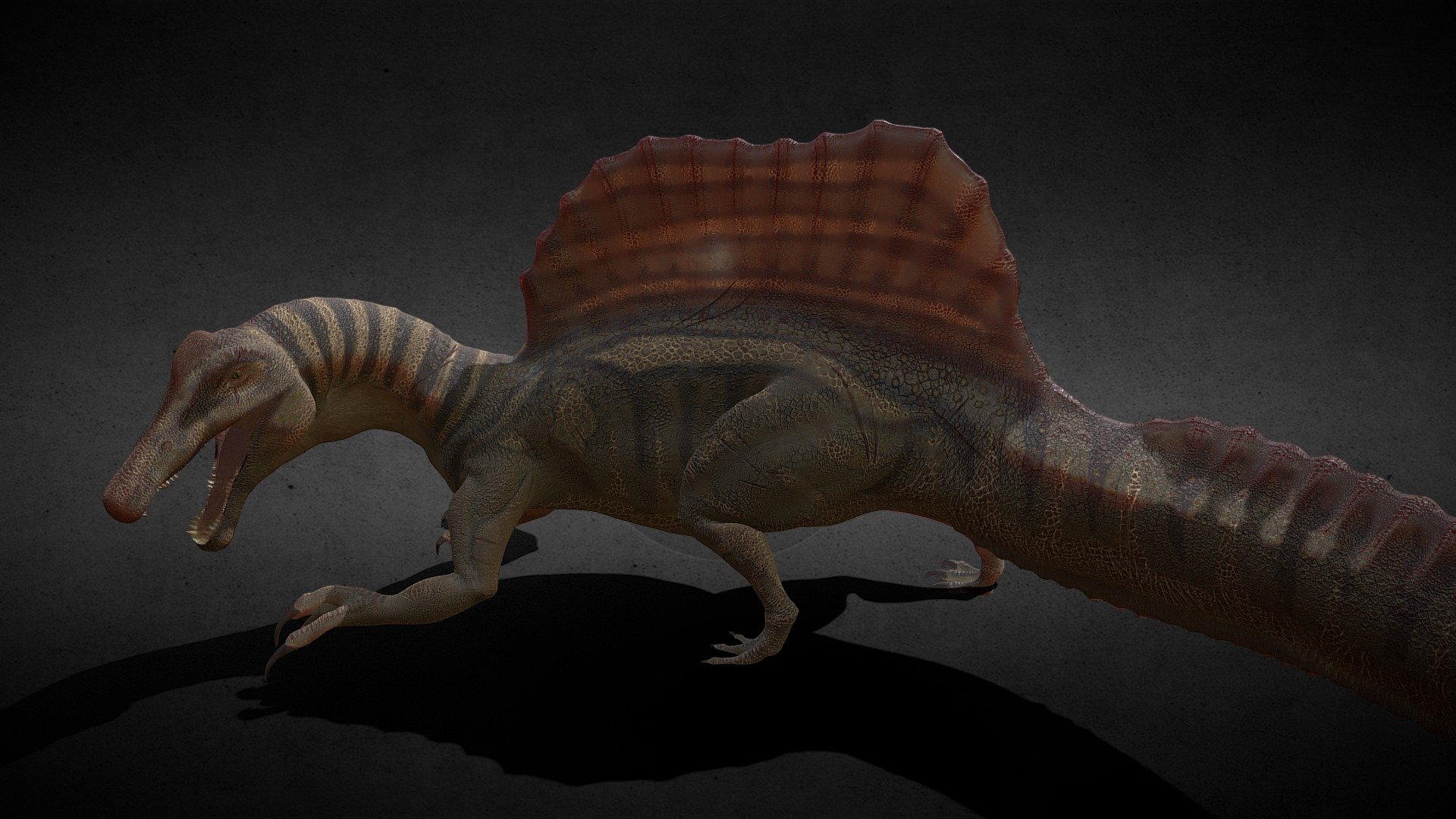Spinosaurus - 3D model by Floris Vanderkerken (@floris_vdk) [0ec30e3 ...