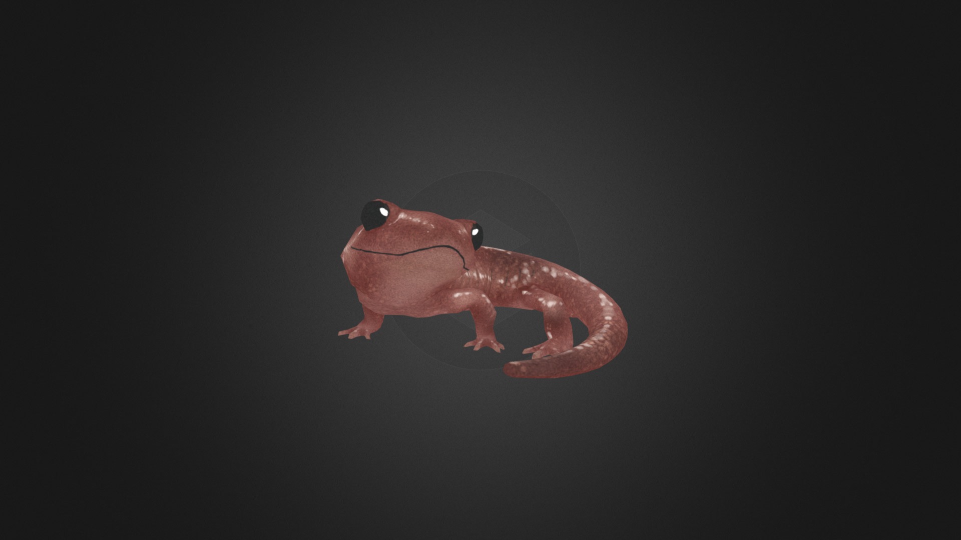 Hynobius formosanus 台灣山椒魚 - 3D model by wowwow [0ed7abb] - Sketchfab