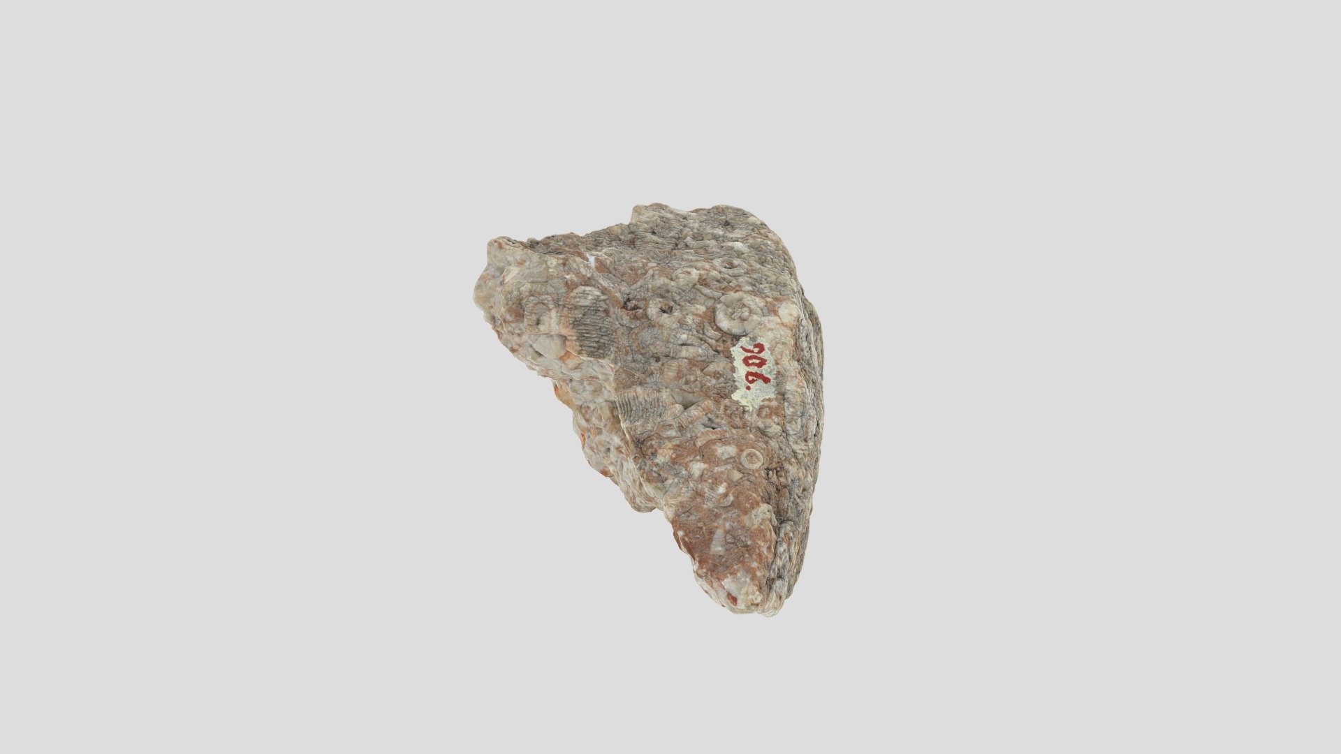 Organic Limestone - Download Free 3D model by EDUROCK – EDUCATIONAL ...