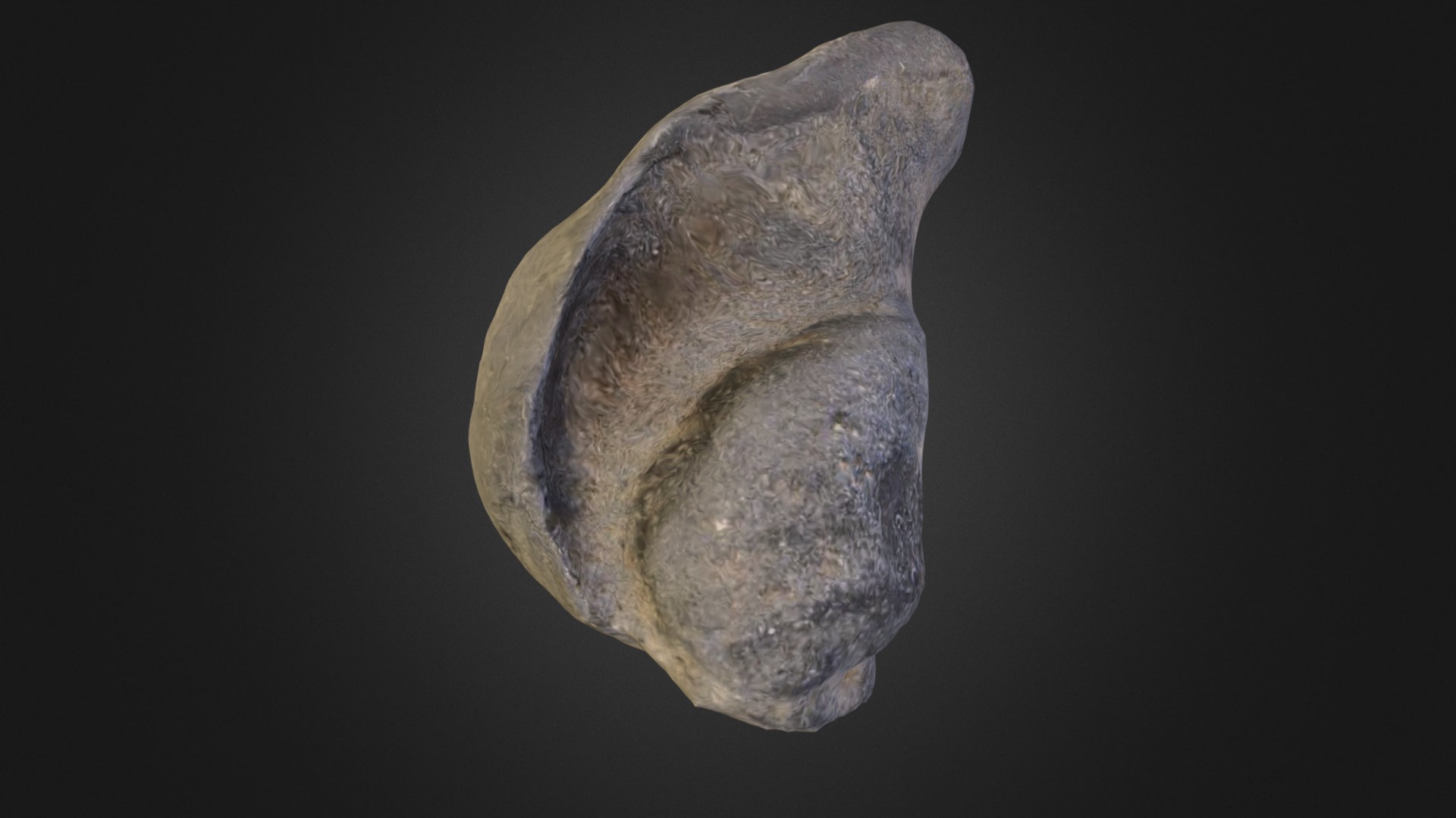 WHALE EAR BONE - 3D model by 3D Fossils (@conqueror78) [0ee00a7 ...