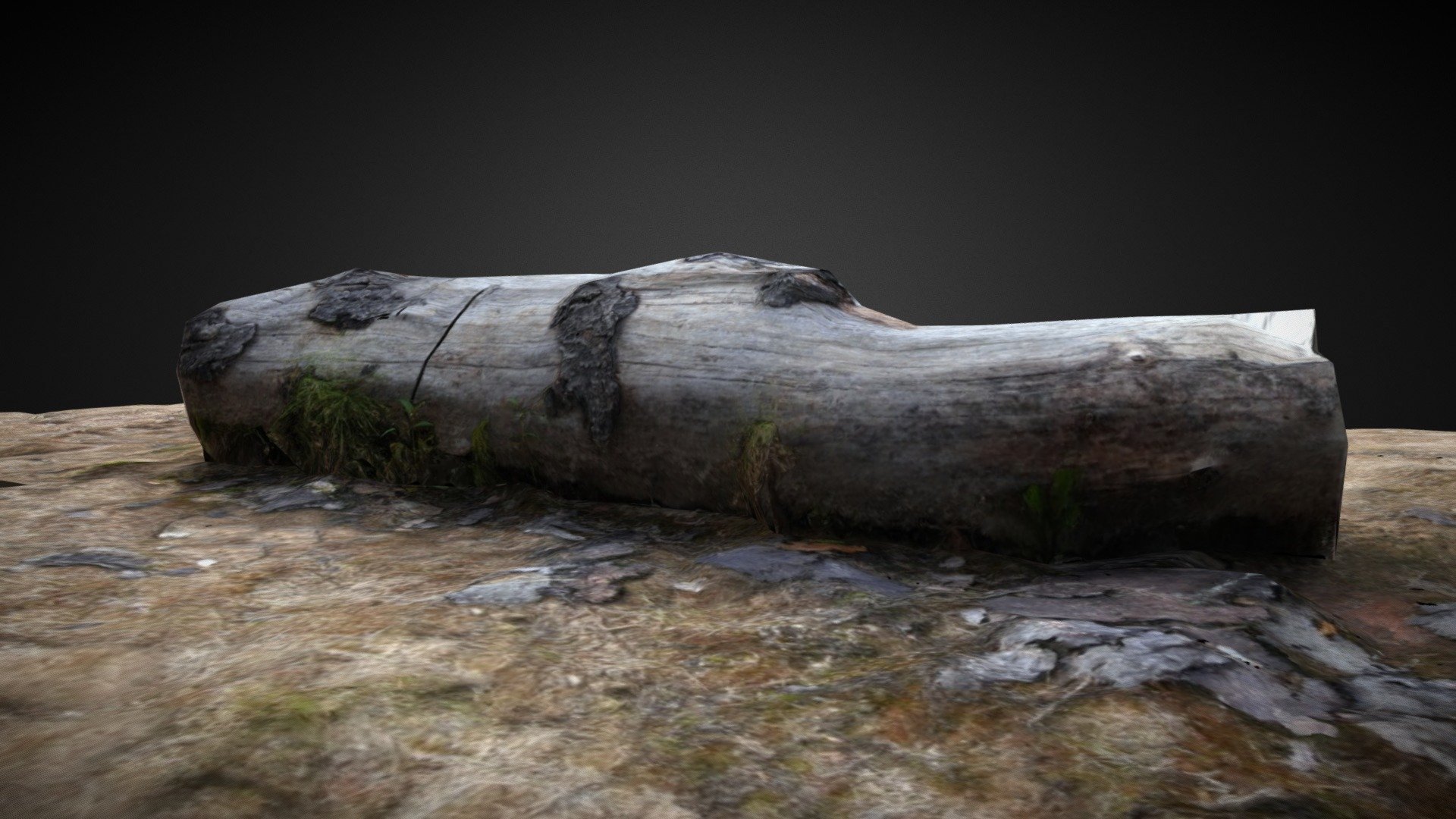 Old Pine Log - Download Free 3D model by kj3987 [0ee1e5f] - Sketchfab