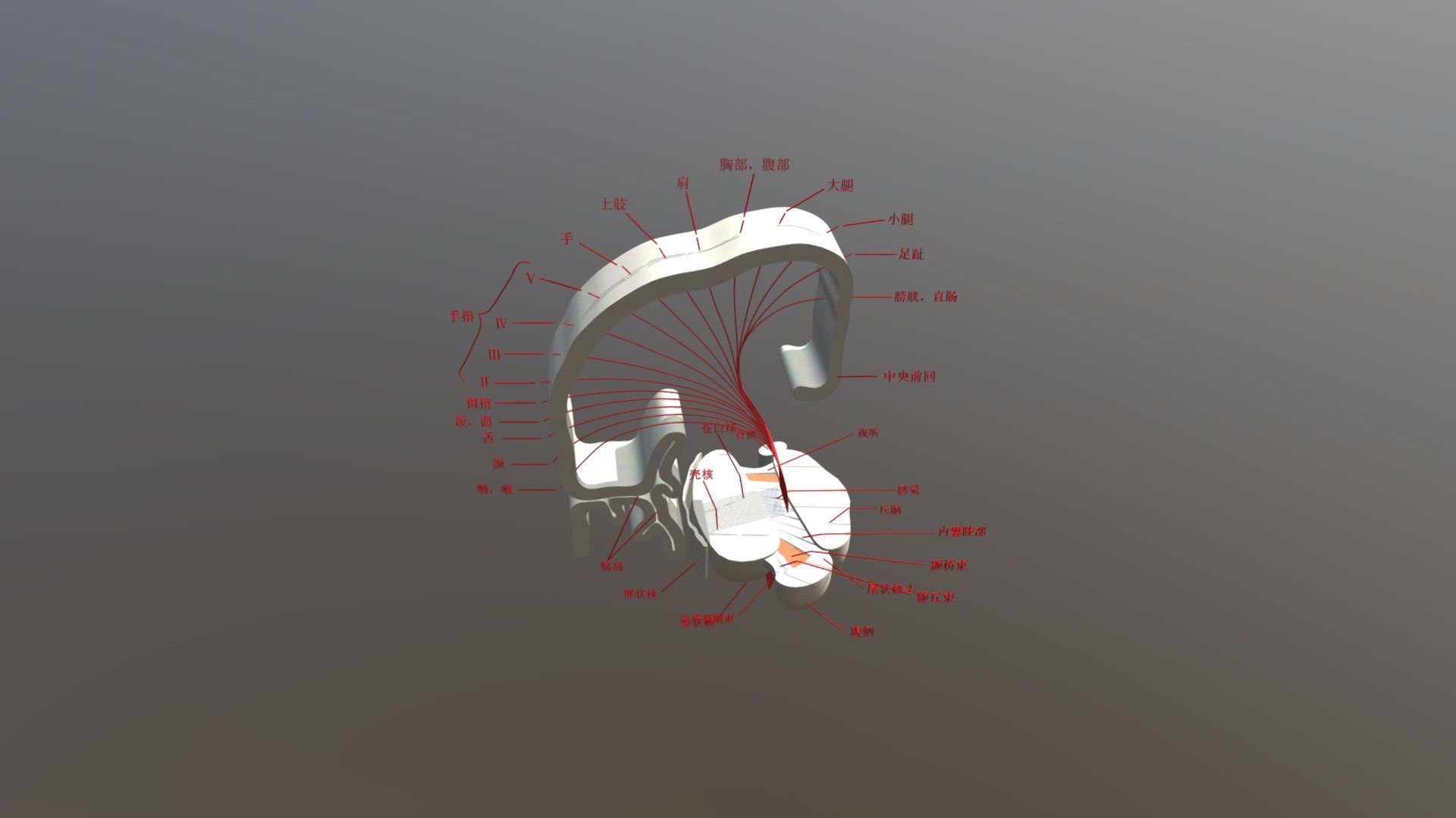 001.zip - 3D model by Arfront (@Bo.Feng) [0ee235d] - Sketchfab