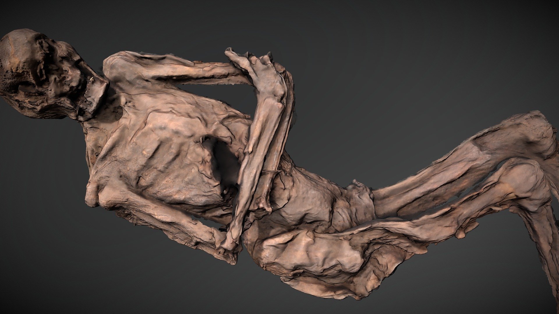 Gallagh Man - National Museum of Ireland - Download Free 3D model by ...
