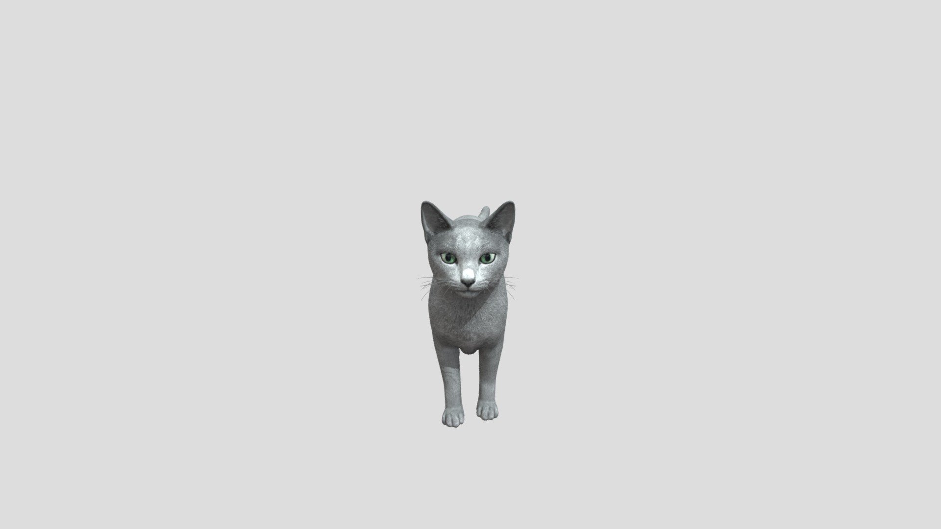Cat Russian blue - Buy Royalty Free 3D model by Phil3D (@philosophie ...