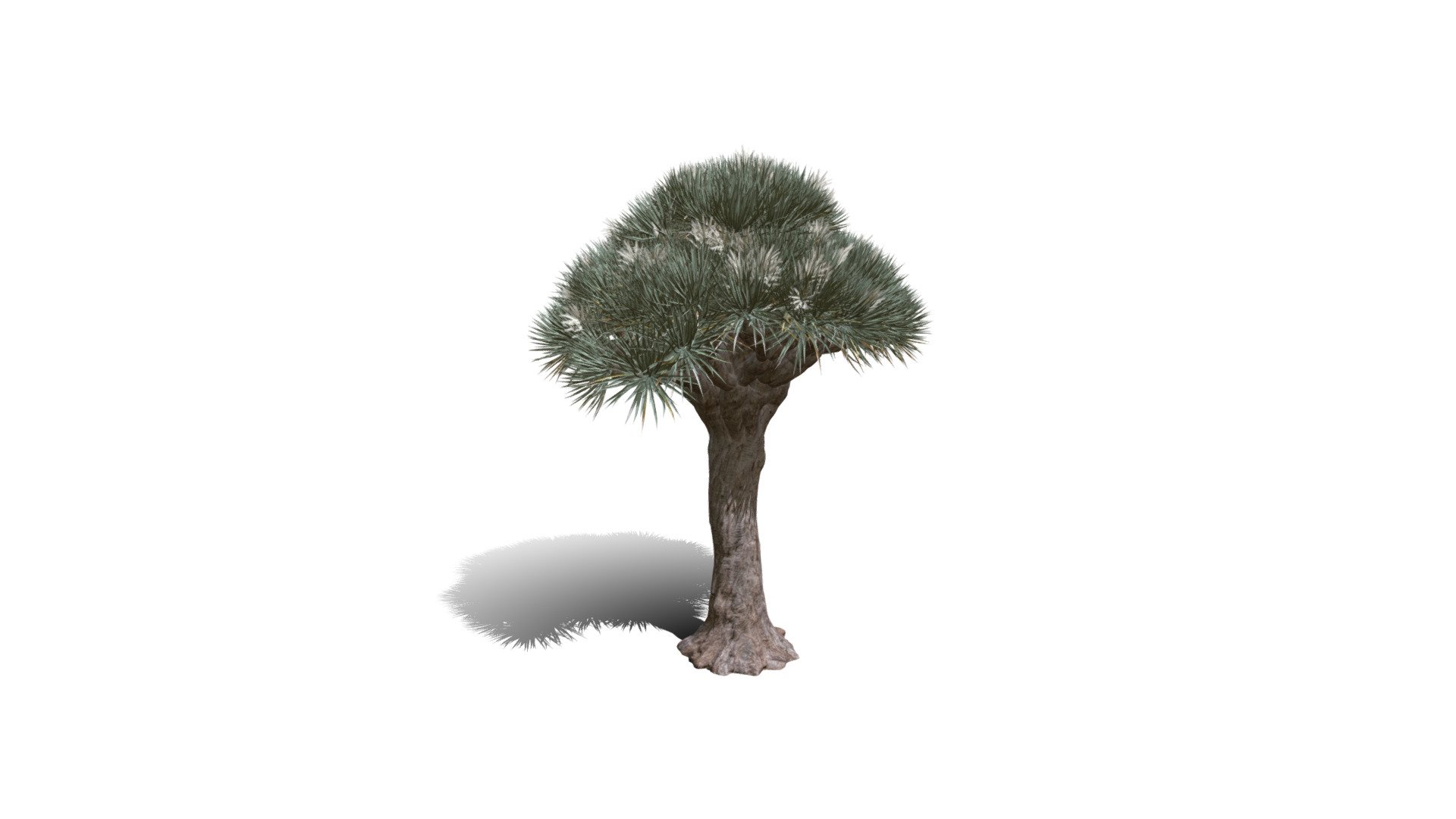 Realistic HD Dragon tree (19/50) - Download Free 3D model by ...