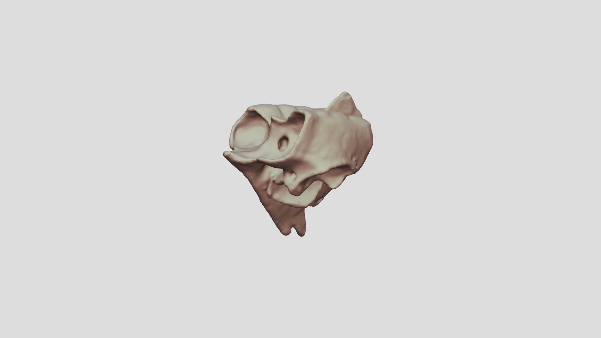 Human Ethmoid Bone (Os ethmoidale) - 3D model by LivingLab (@living_lab ...
