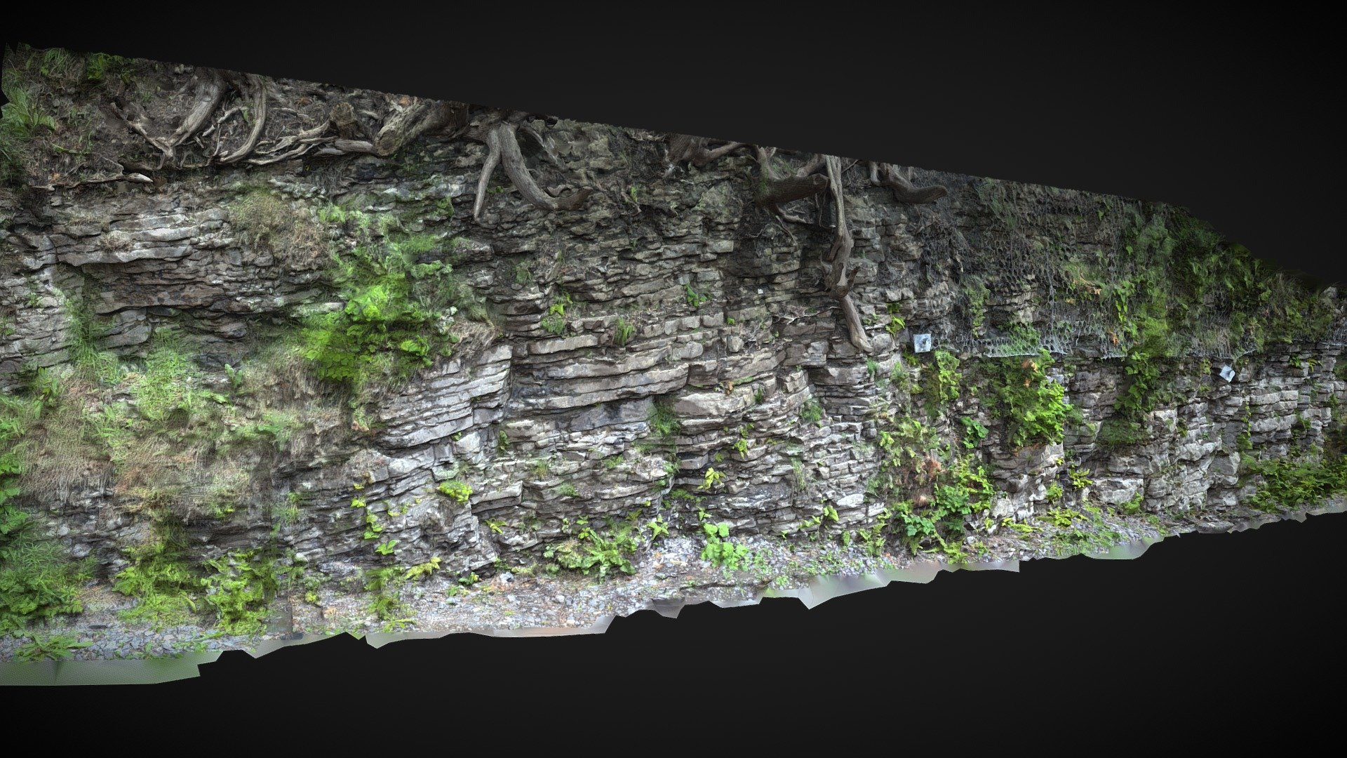 Forest Cliff photogrammetry 3d model No - 2 - Buy Royalty Free 3D model ...