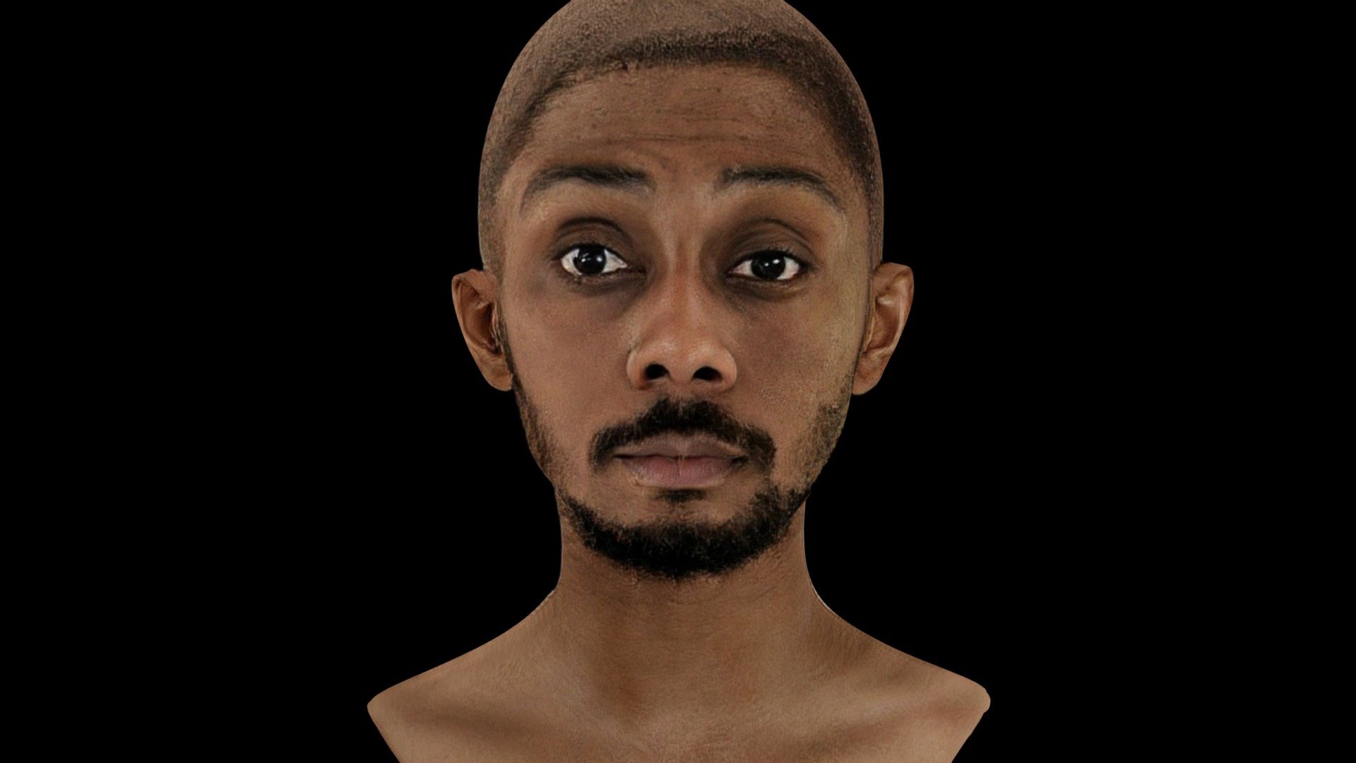 Human Dignity Collection | www.acuteline.com - Download Free 3D model ...
