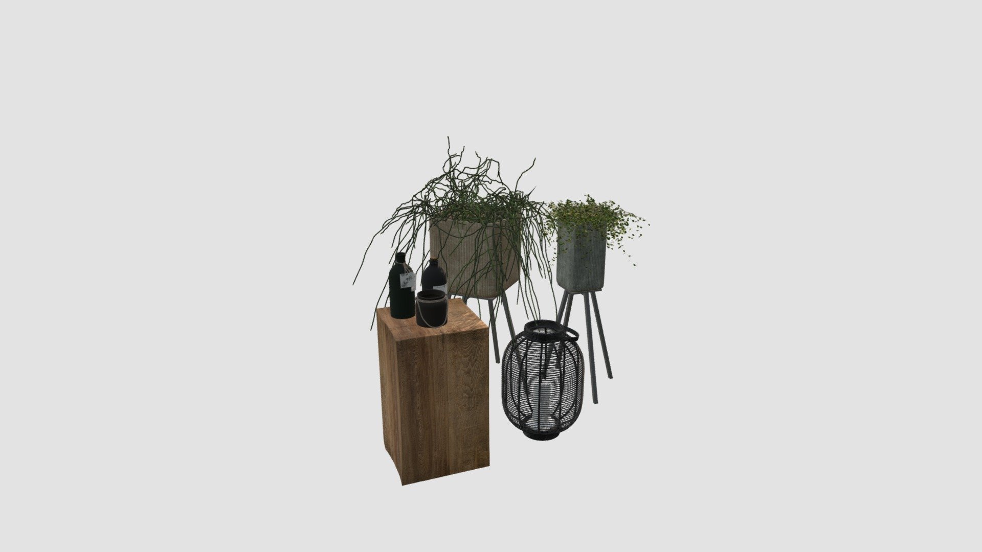 props plants - Buy Royalty Free 3D model by Evermotion [0f0b3cb ...