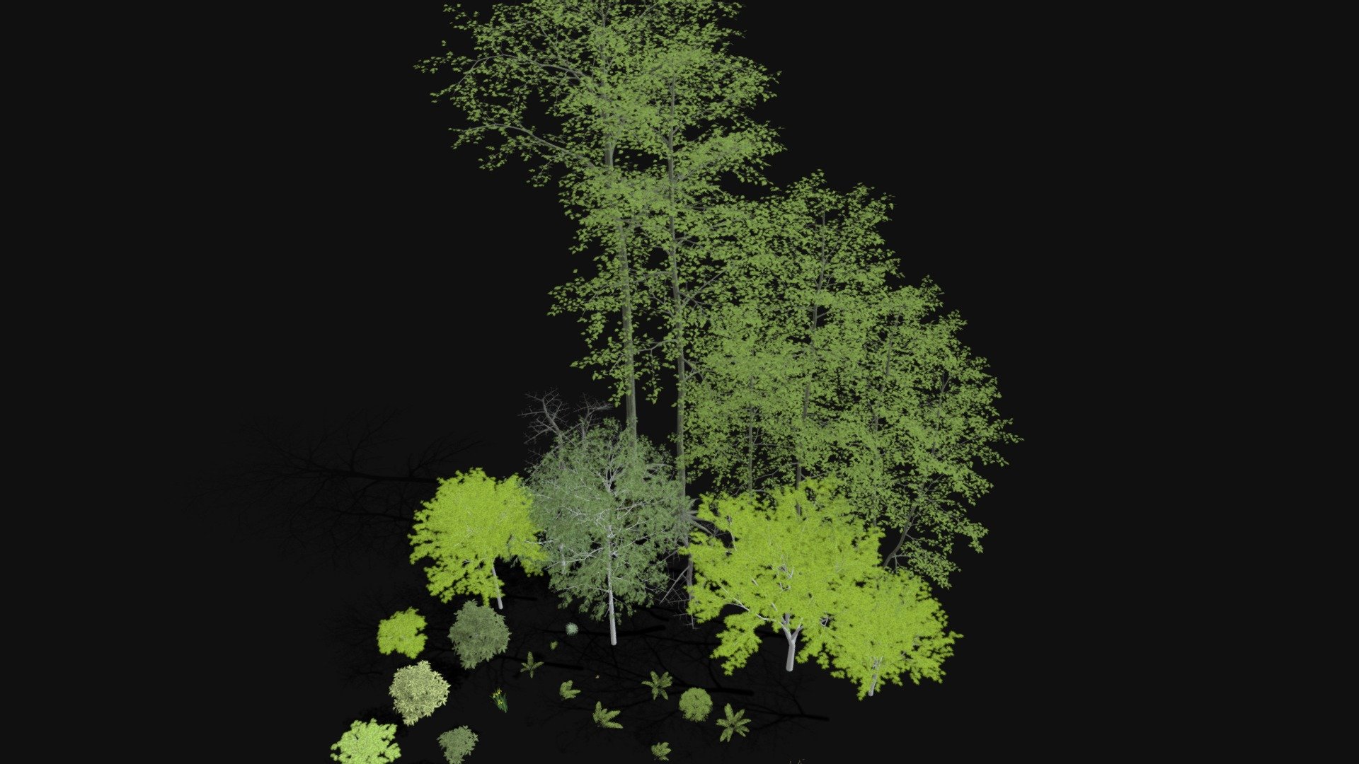Trees vegetation pack - Download Free 3D model by local.yany [0f0f570 ...