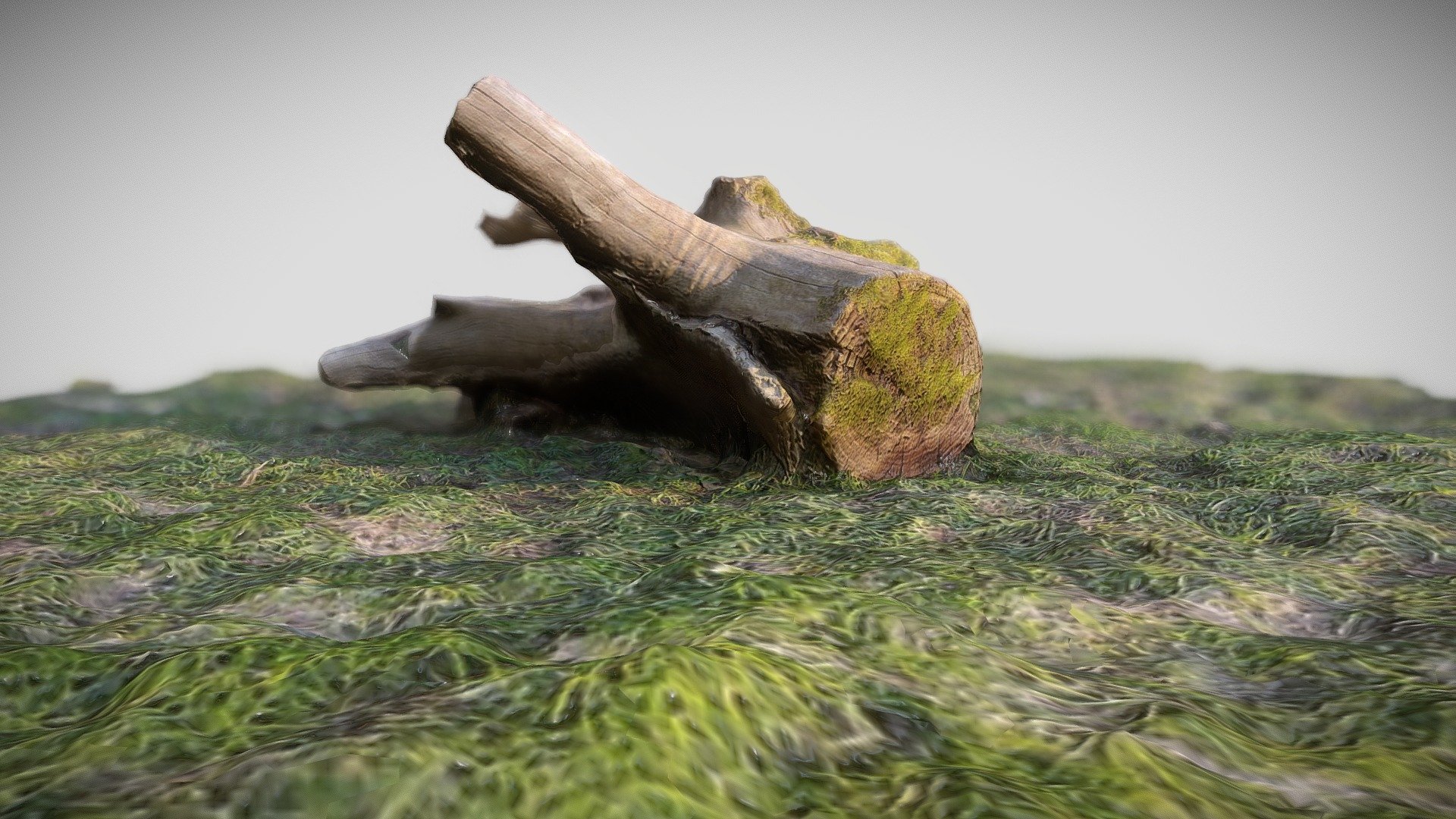 Nature Log - 3D Model - Download Free 3D model by Maxim Ket (@maxsvket ...