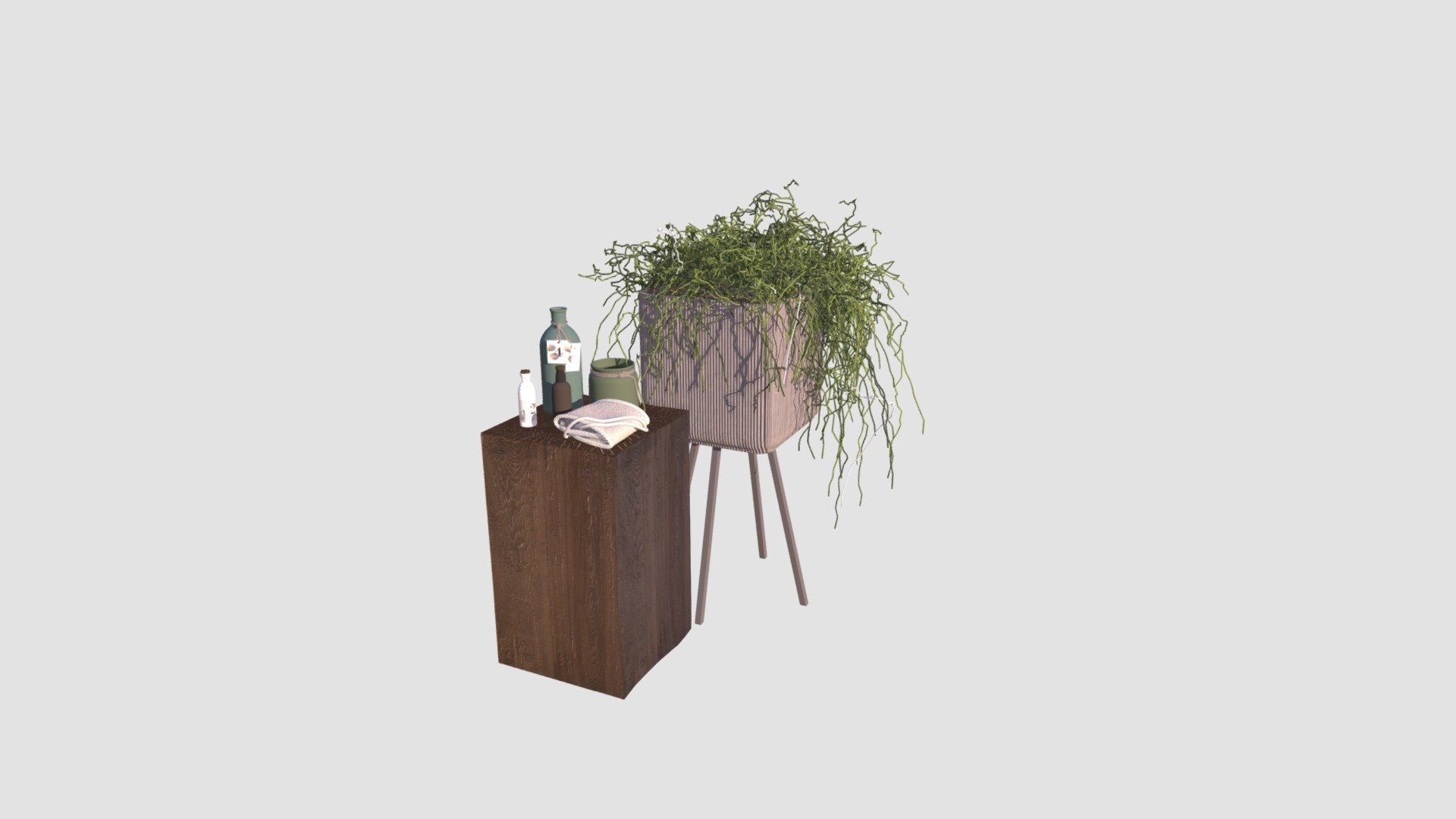 props plant - Buy Royalty Free 3D model by Evermotion [0f1a994 ...