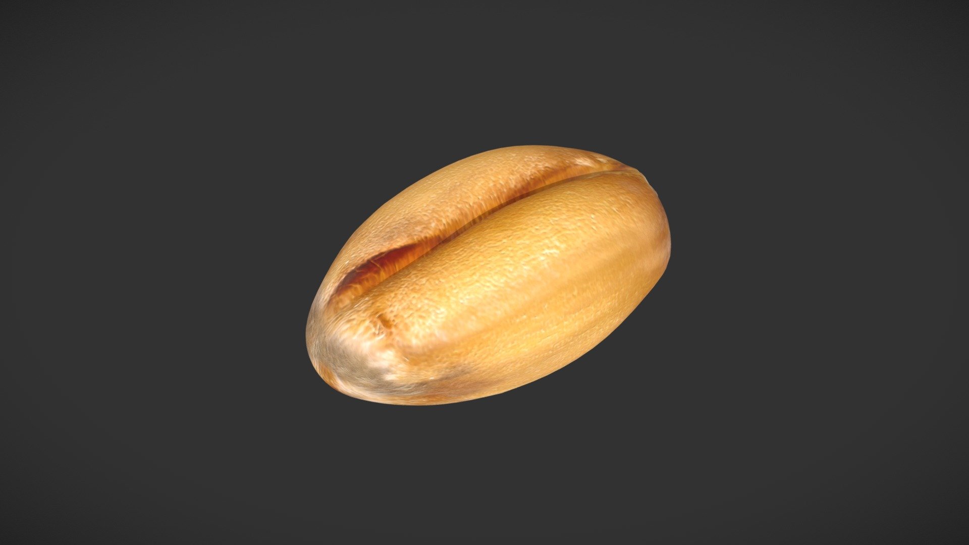 Soft White Wheat - 3D model by Oregon State University | Ecampus ...