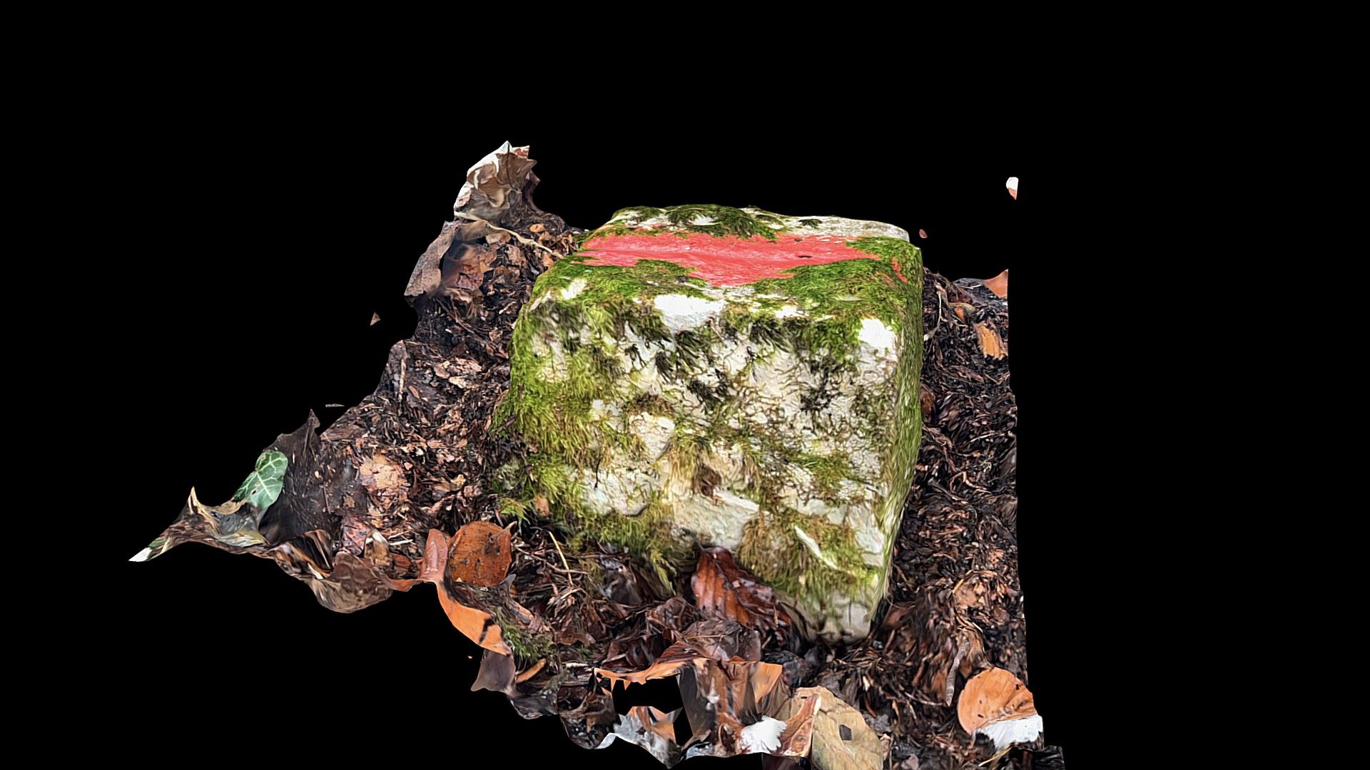borNE.VOMA.ci - Download Free 3D model by clwacker [0f2b2eb] - Sketchfab