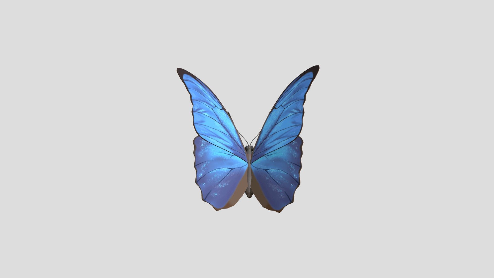 morpho - Download Free 3D model by Qween (@QweenH) [0f2f998] - Sketchfab