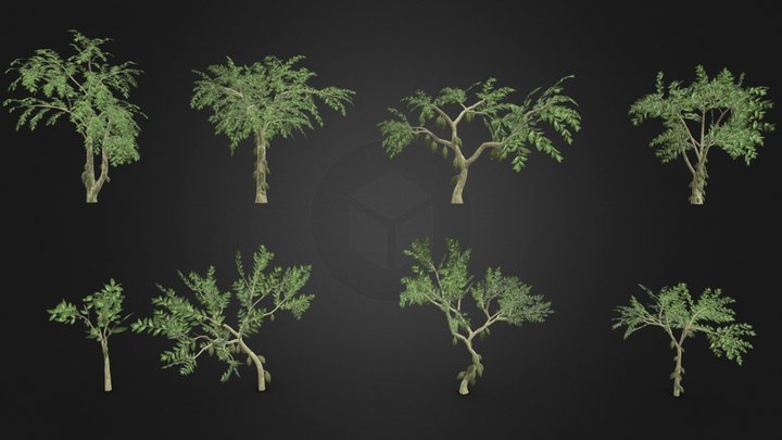 Cacao-tree 3D models - Sketchfab