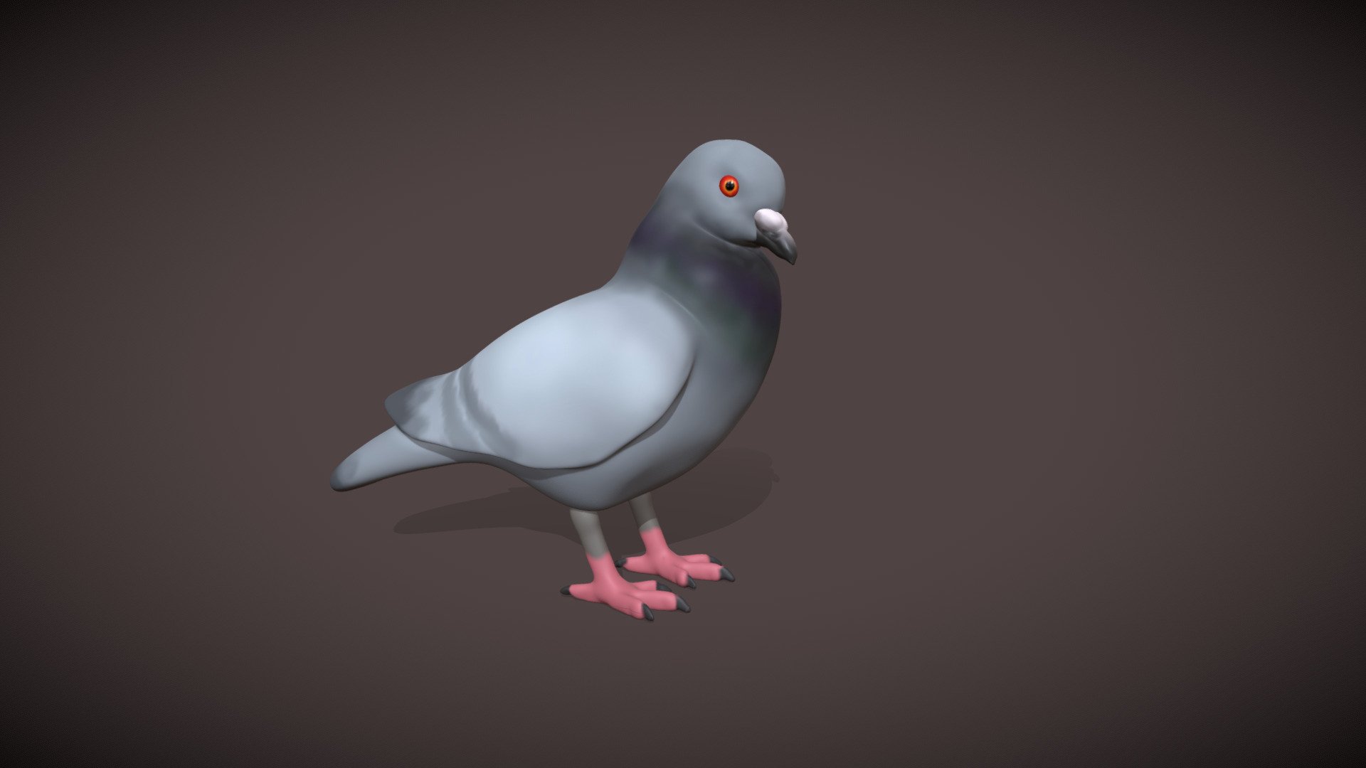 Pigeon - 3D model by Shania (@SP_creates) [0f37a44] - Sketchfab