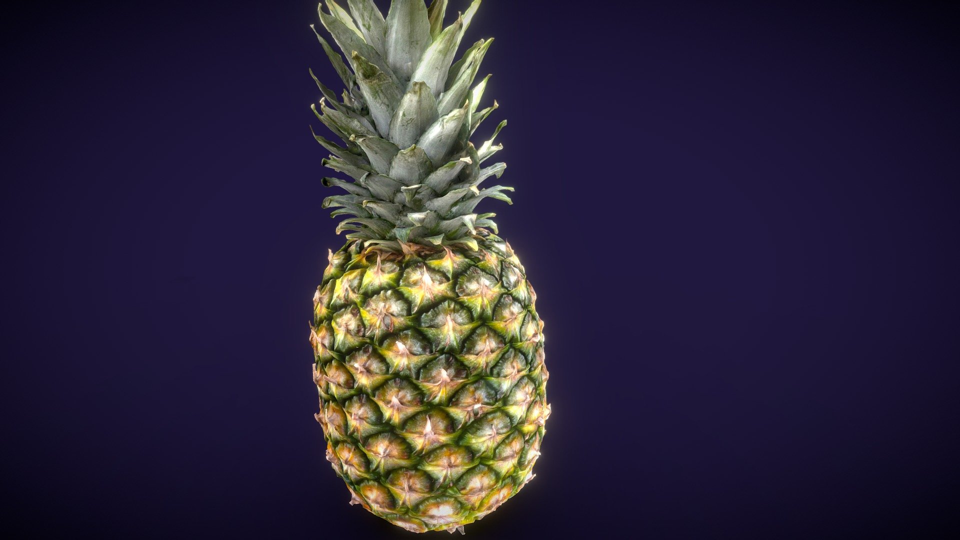 Pineapple - 3D model by Peter Katz (@peterkatz) [0f38bb1] - Sketchfab