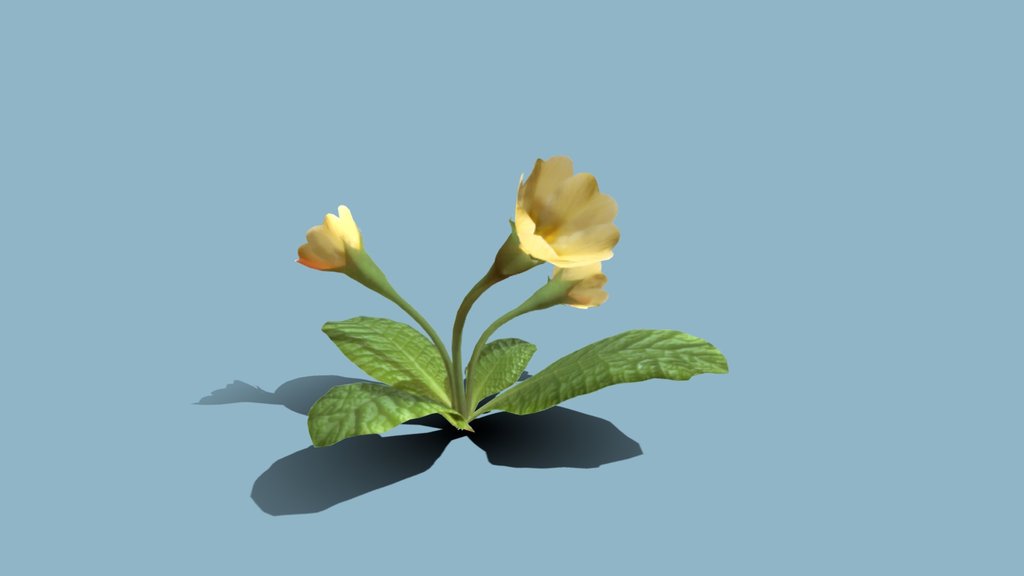 Flowers - A 3D model collection by Zacxophone - Sketchfab