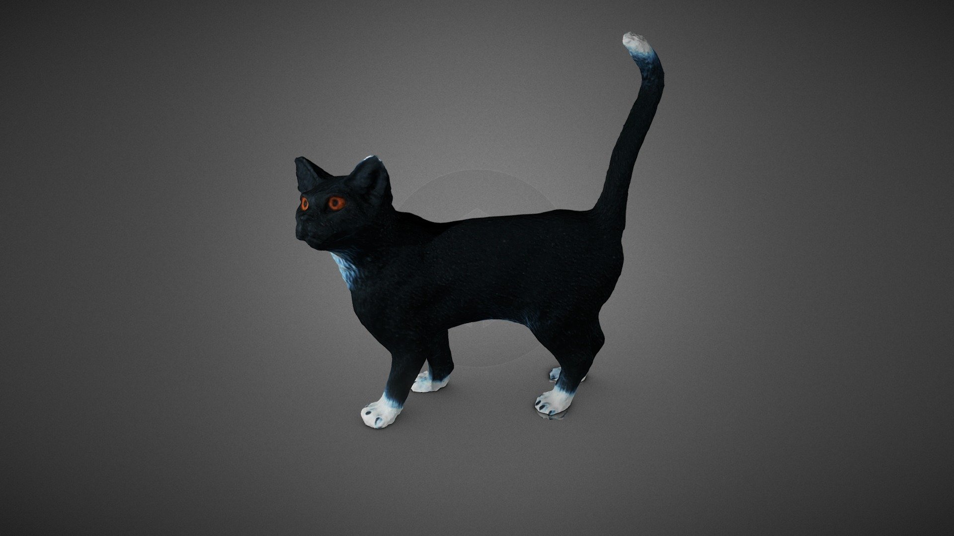 Cat - 3D model by FacTrans [0f3f3c0] - Sketchfab