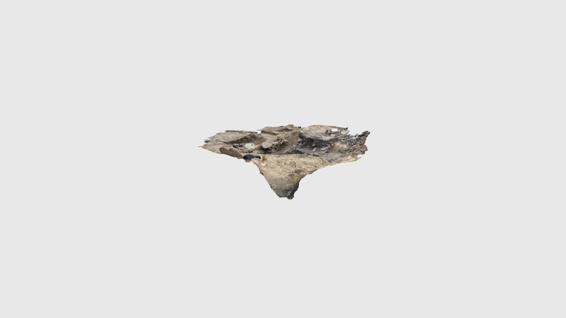Sections through large Roman pit with partial s… - Download Free 3D ...