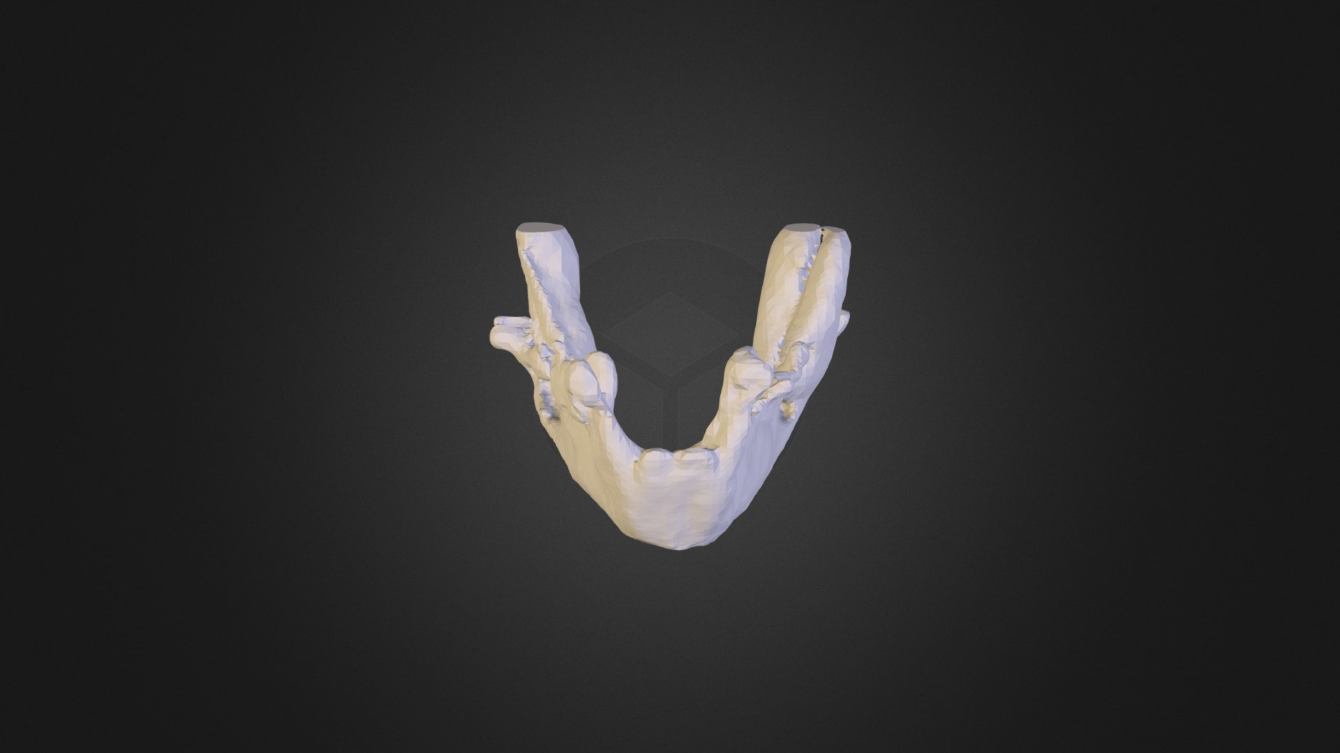 Bobcat jaw - 3D model by 3dindustries [0f46a2b] - Sketchfab