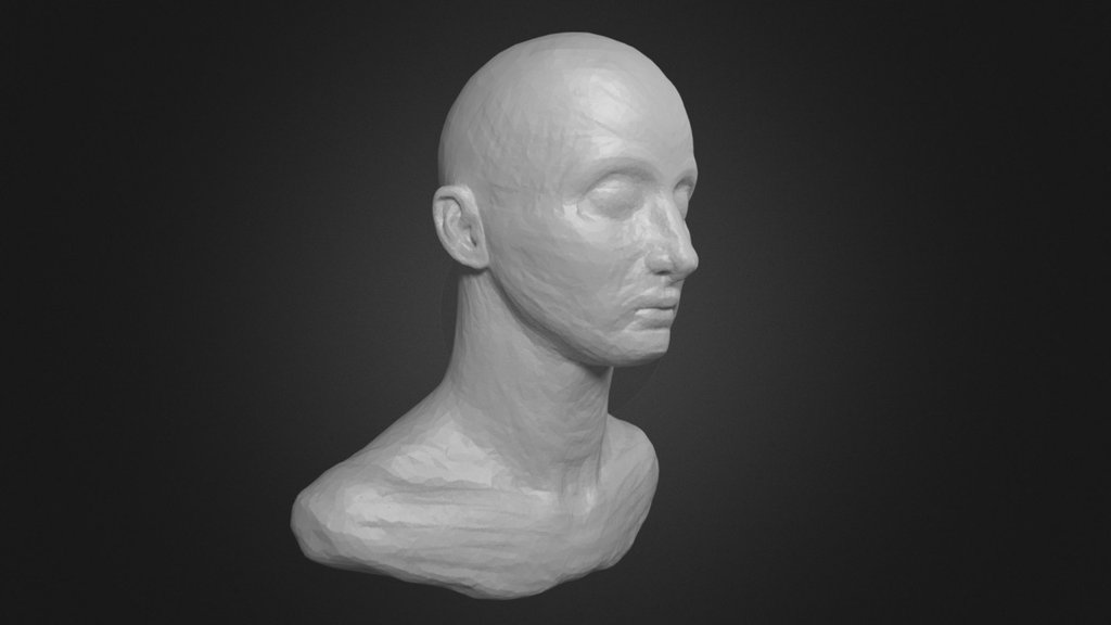 quick practice sculpt - 3D model by tmack [0f5f2f6] - Sketchfab