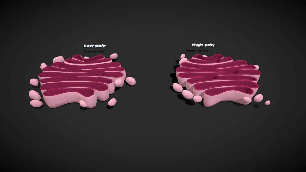 Biology - A 3D model collection by bnsoni1975 - Sketchfab